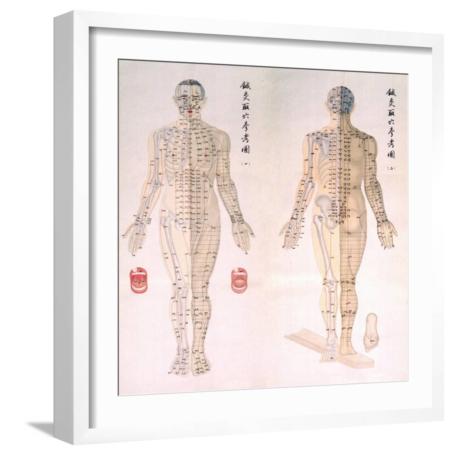 Art.com Chinese Chart of Acupuncture Points on a Male Body, 1956 Art ...