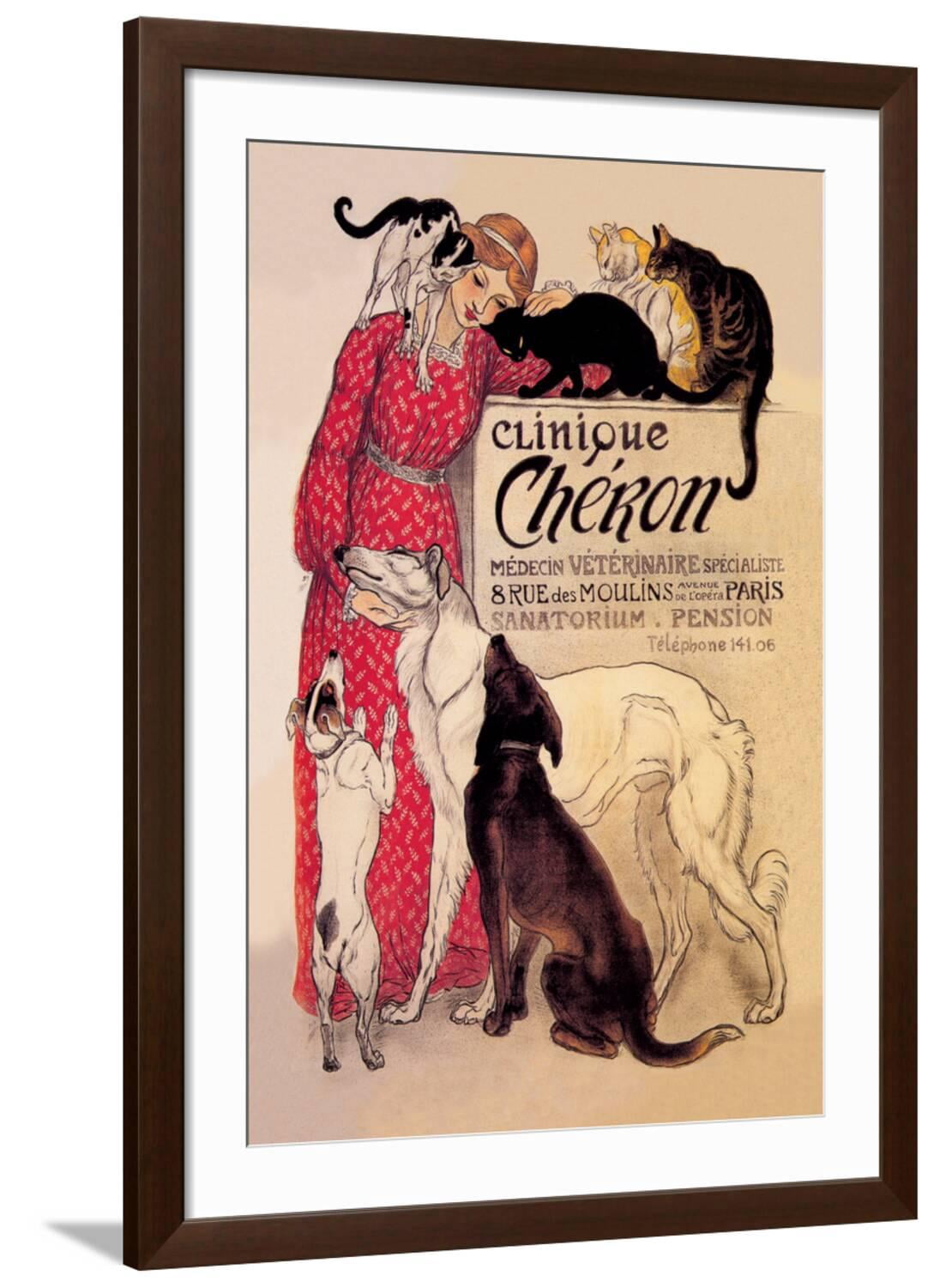 Art.com Clinique Cheron, Veterinary Medicine and Hotel Art Print by ThÃ ...