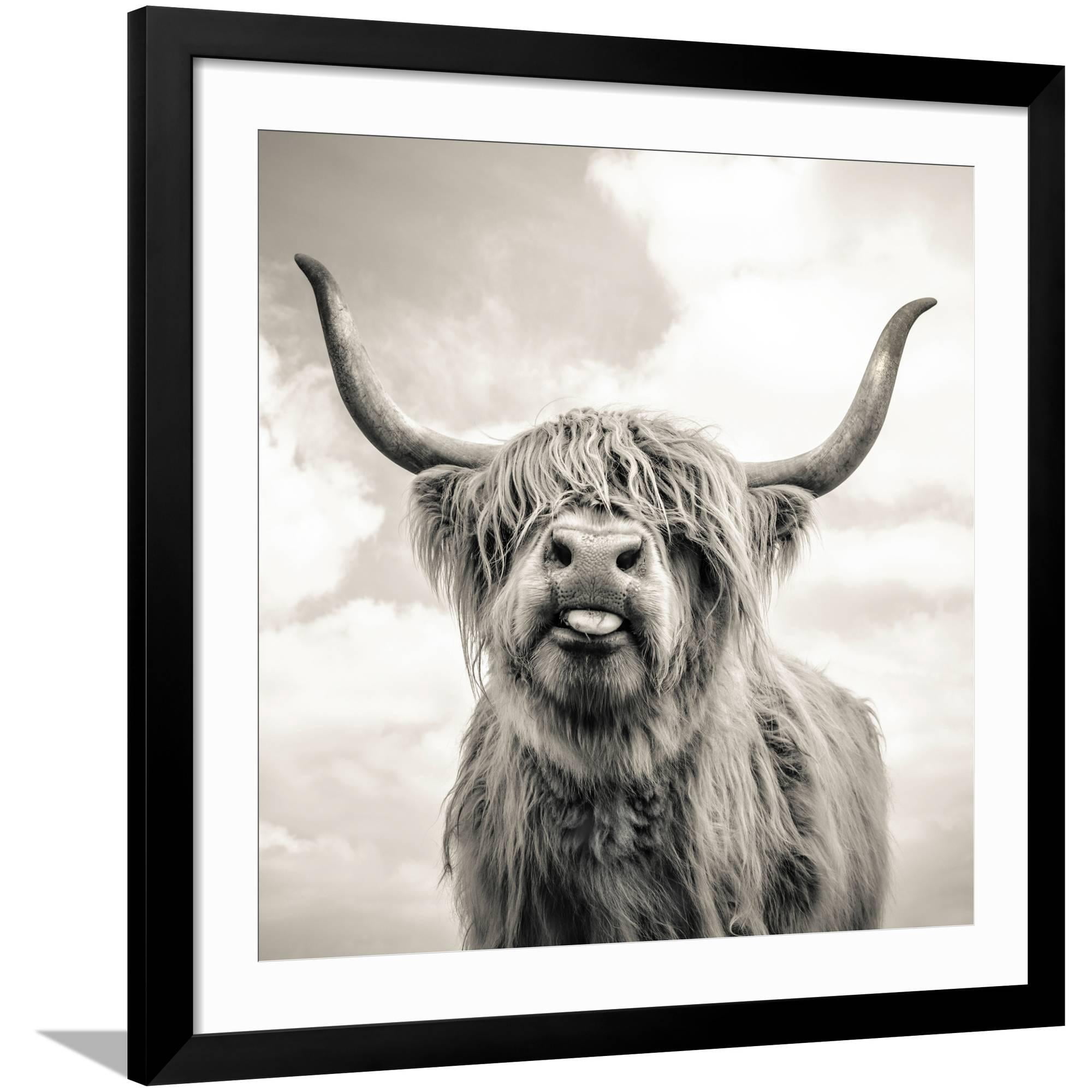 Art.com Close up portrait of Scottish Highland cattle on a farm ...