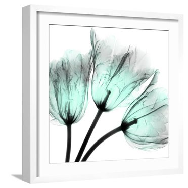 Hollywood Photo Archive 14x18 White Modern Wood Framed Museum Art Print ...