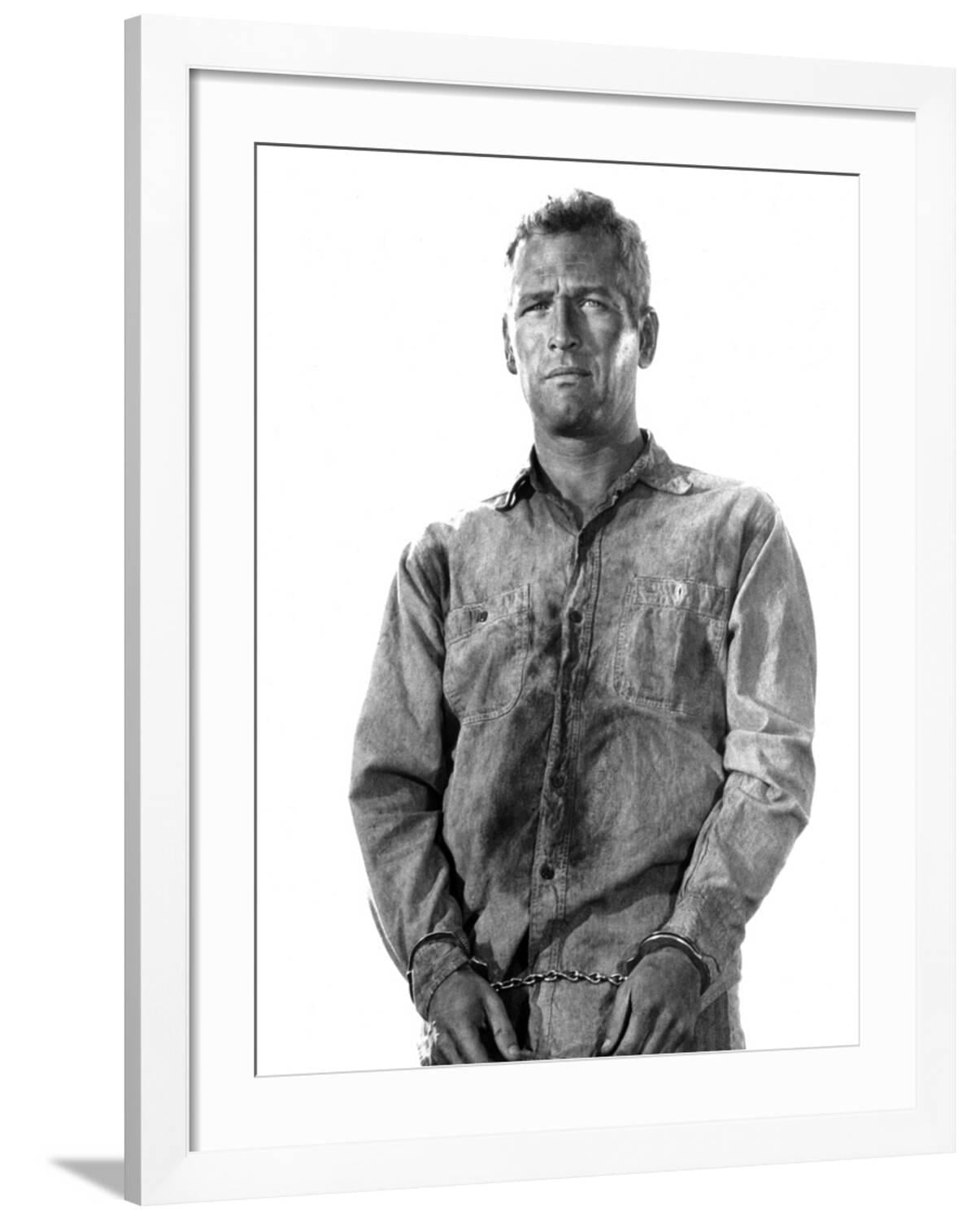 Art.com Cool Hand Luke, Paul Newman, 1967 Photo, White Frame Wall Art ...