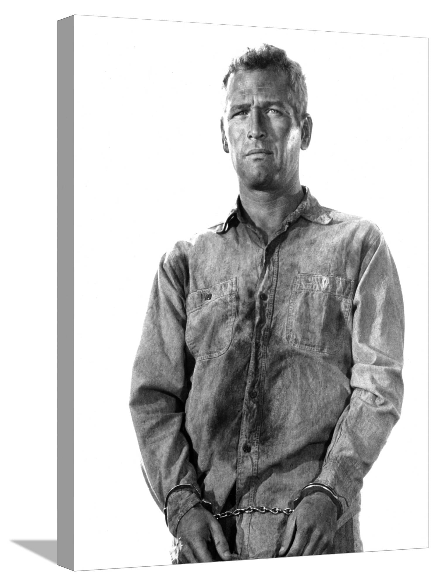 Art.com Cool Hand Luke, Paul Newman, 1967 Stretched Canvas Print Wall ...