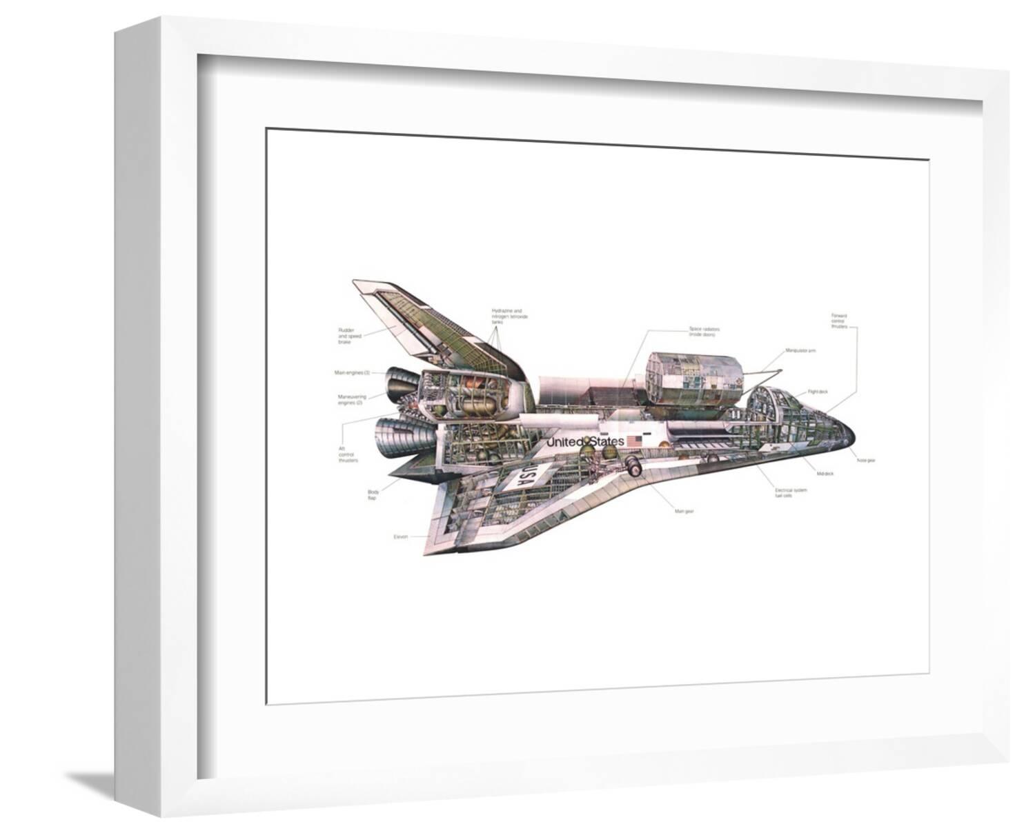 Art.com Cut-Away Diagram of the Space Shuttle Photo, White Frame Wall ...