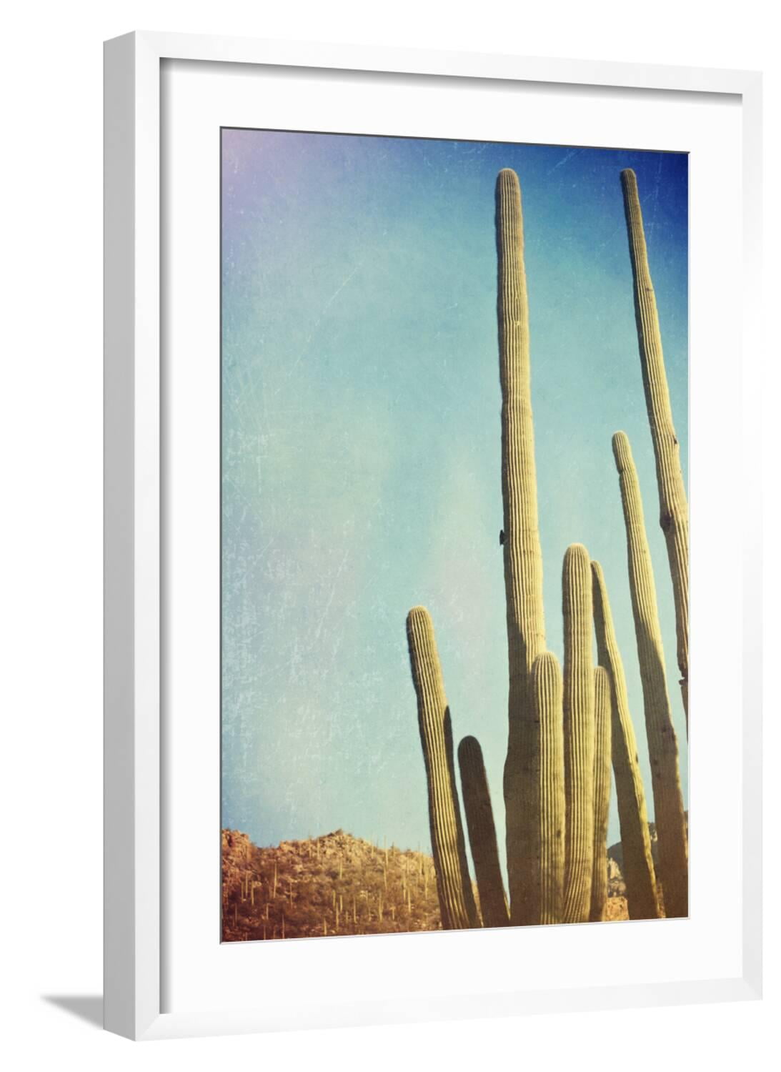 Art.com Desert Cactus With An Artistic Texture Overlay Art Print by ...