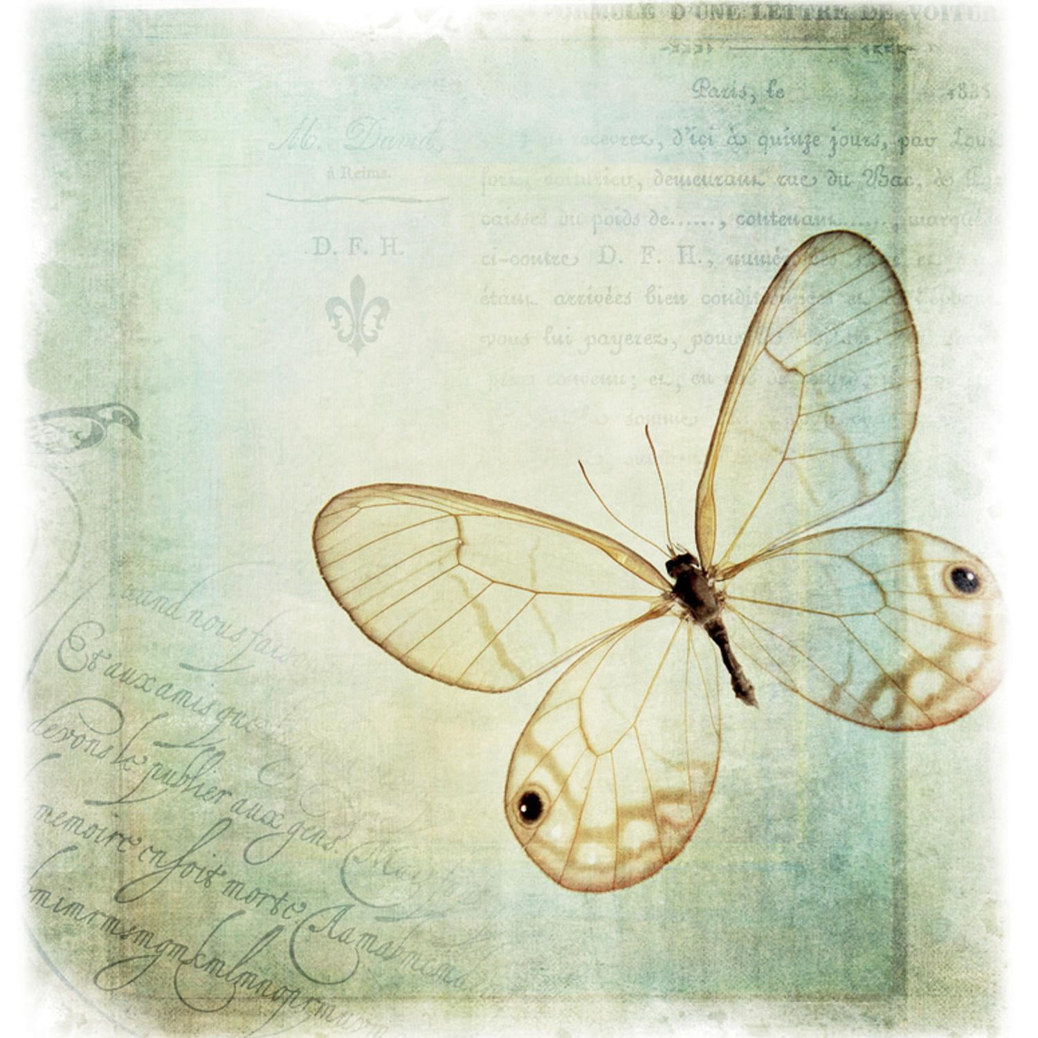 Art.com Floating Butterfly I Art Print by Debra Van Swearingen, 30" x ...