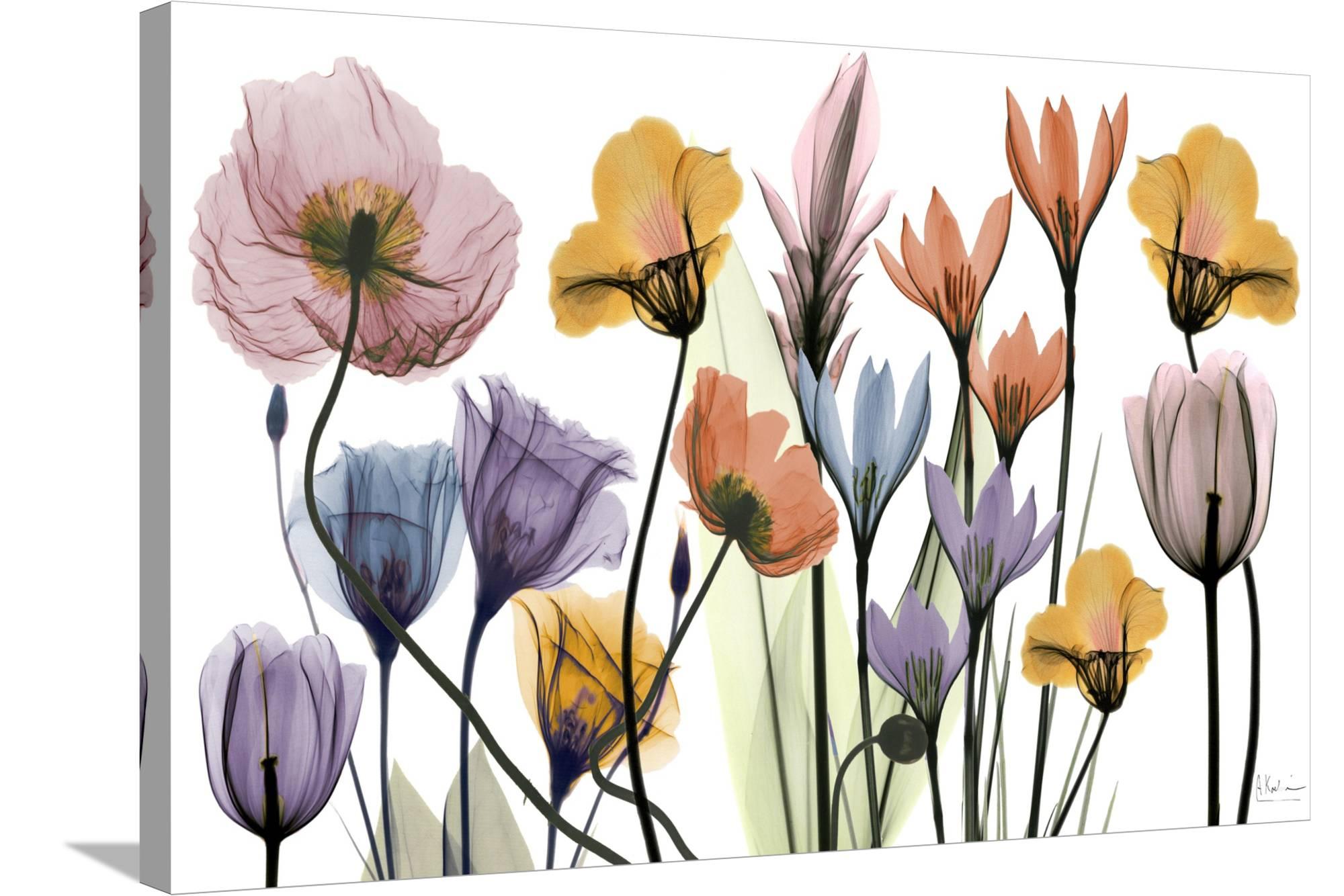 Art.com Flowerscape Portrait Stretched Canvas Print Wall Art by Albert ...