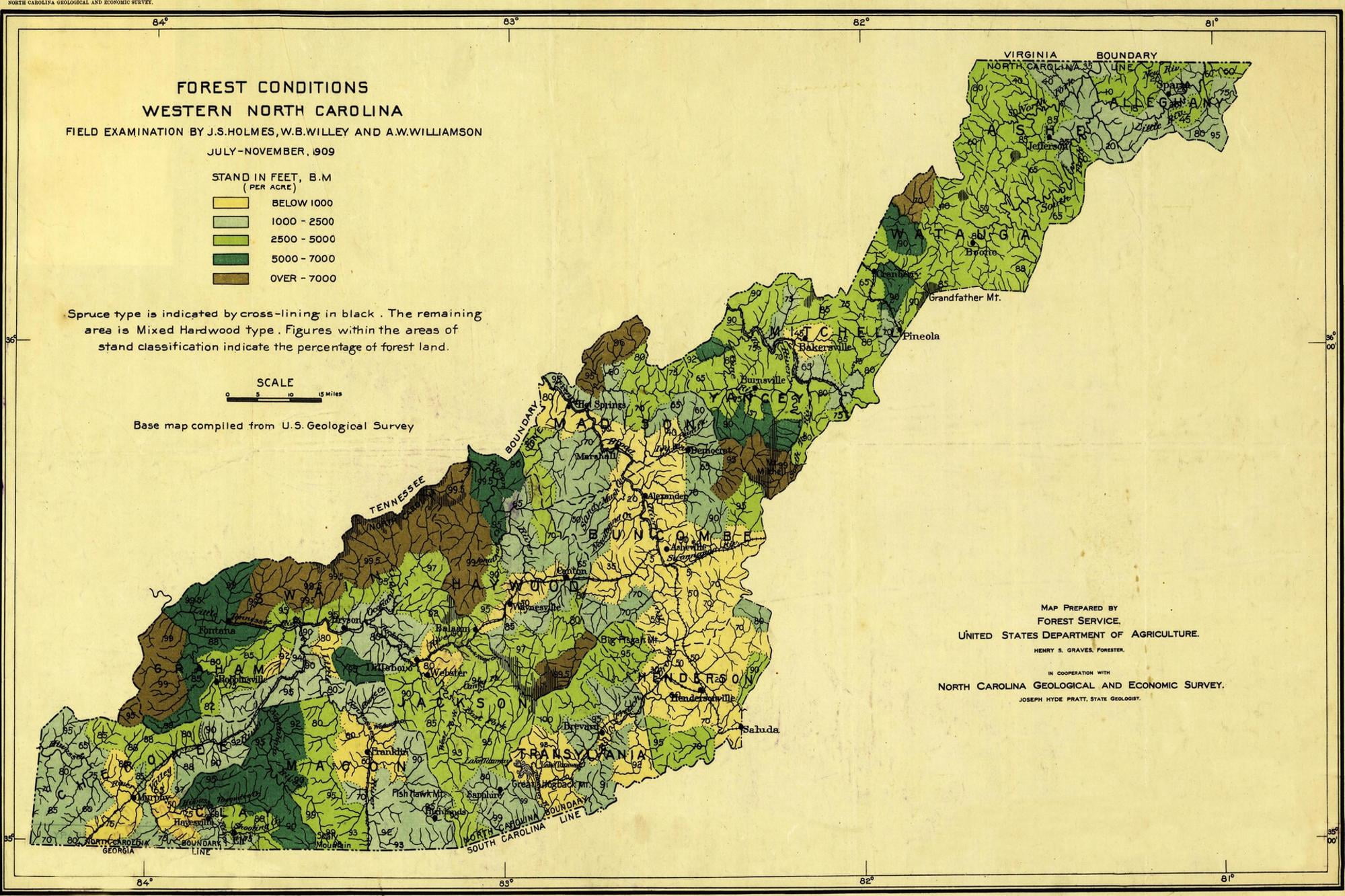 Art.com Forests of Western North Carolina - Panoramic Map Art Print by ...