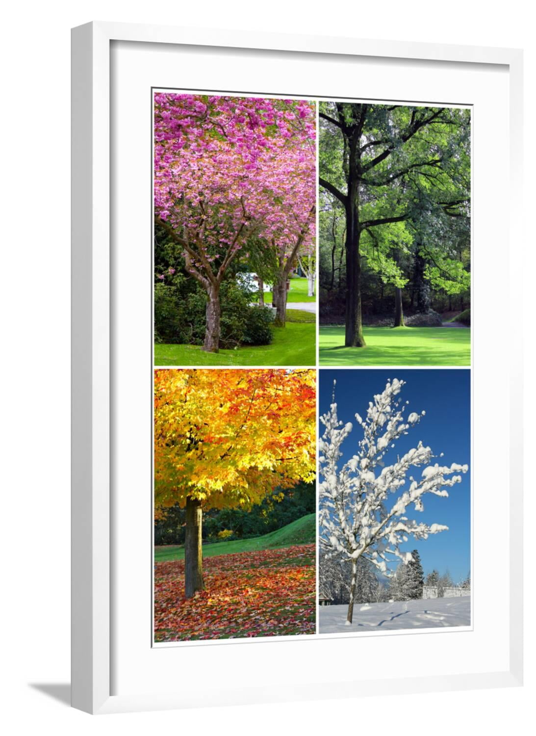 Art.com Four Seasons Collage: Spring, Summer, Autumn, Winter Art Print ...