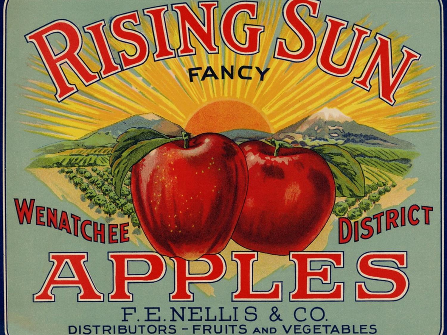 Art.com Fruit Crate Labels: Rising Sun Fancy Apples; F.E. Nellis and ...