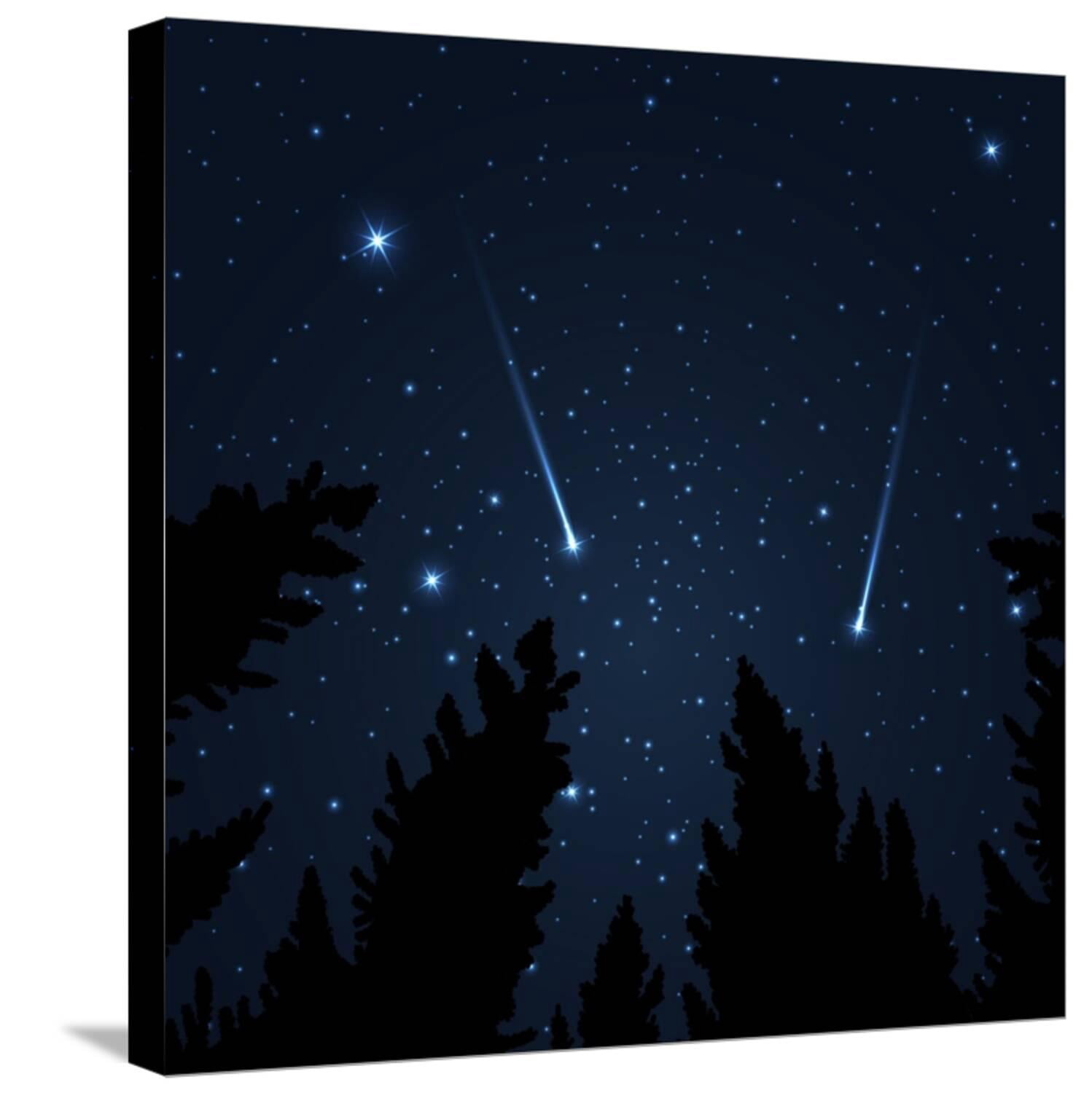 Art.com Galaxy with Framed with Pine Trees. Night Sky and Shooting ...