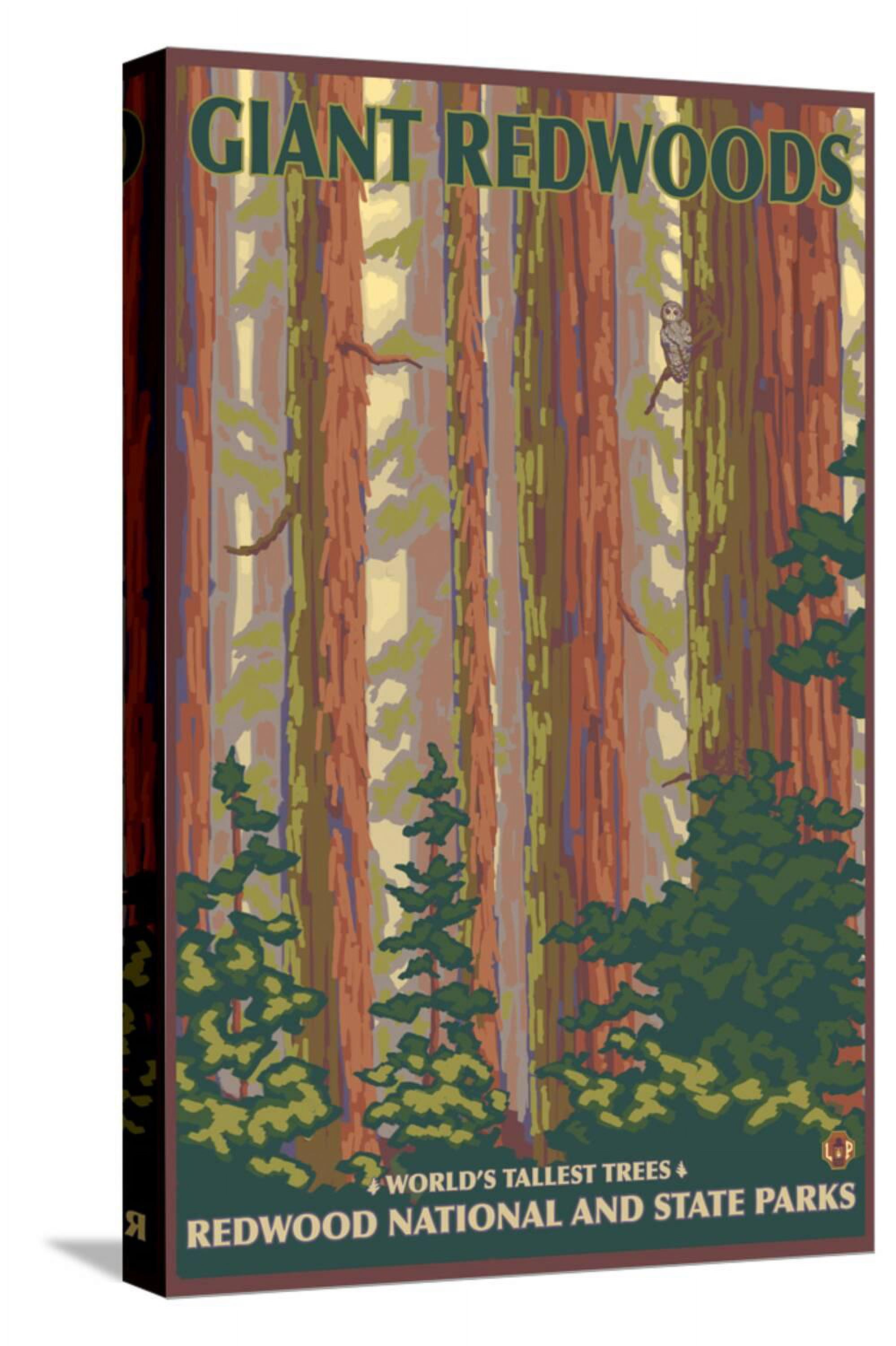 Art.com Giant Redwoods, Redwood National Park, California Stretched ...