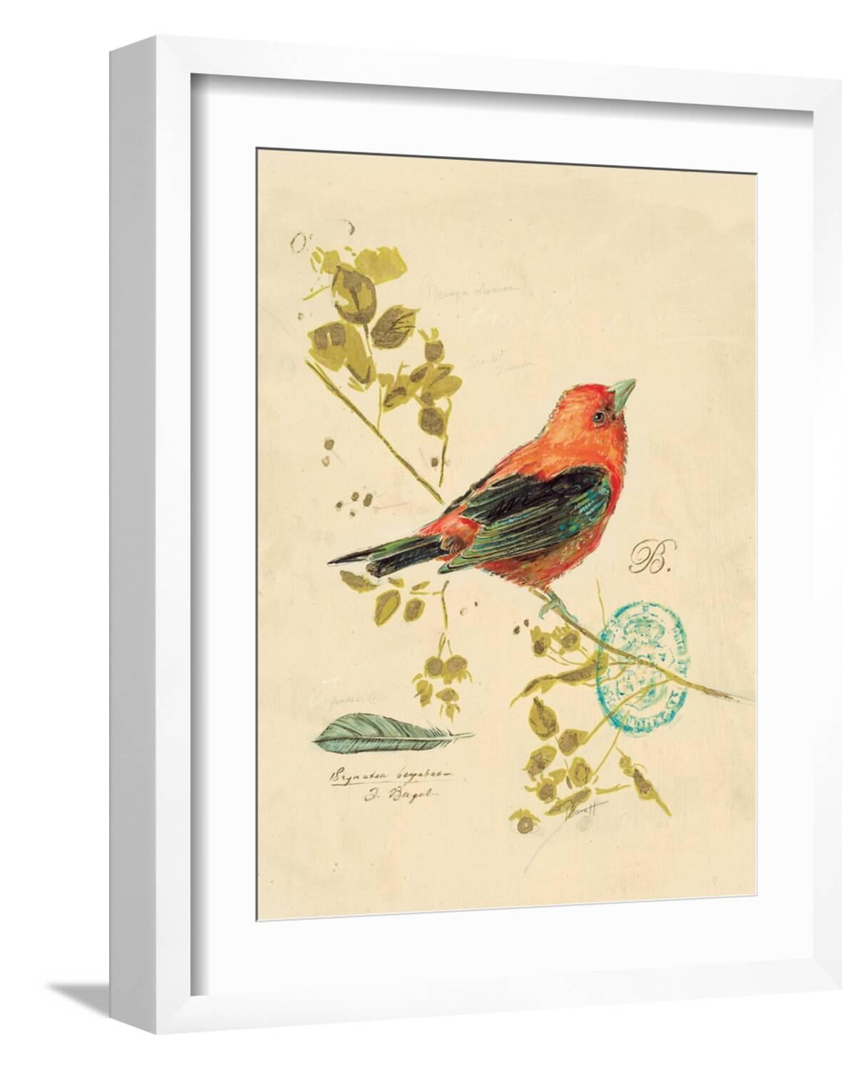 Art.com Gilded Songbird 3 Art Print by Chad Barrett, White Frame Wall ...