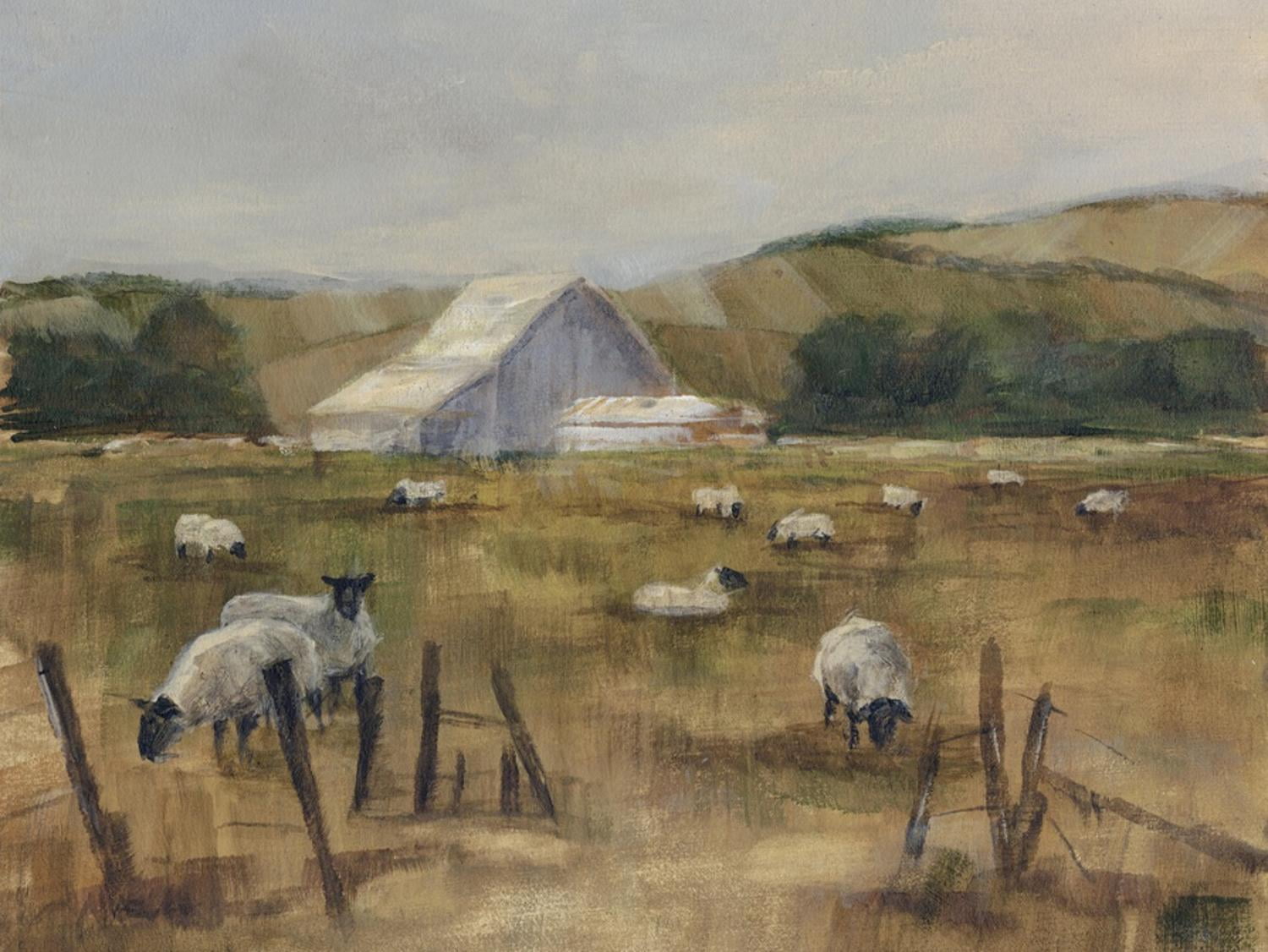 Art.com Grazing Sheep I Art Print by Ethan Harper, 32" x 24" - Walmart.com