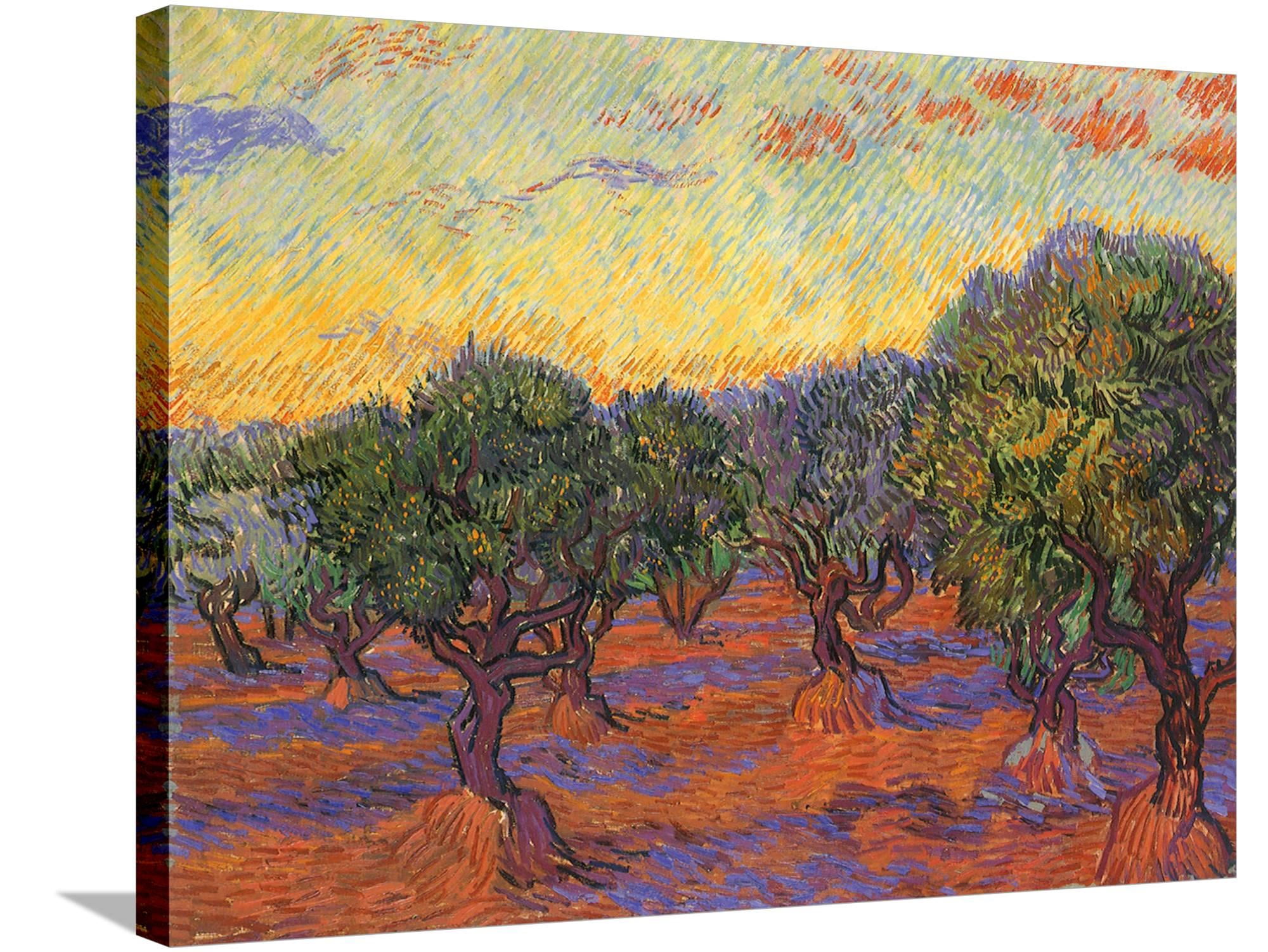 Art.com Grove of Olive Trees, 1889 Stretched Canvas Print Wall Art by ...