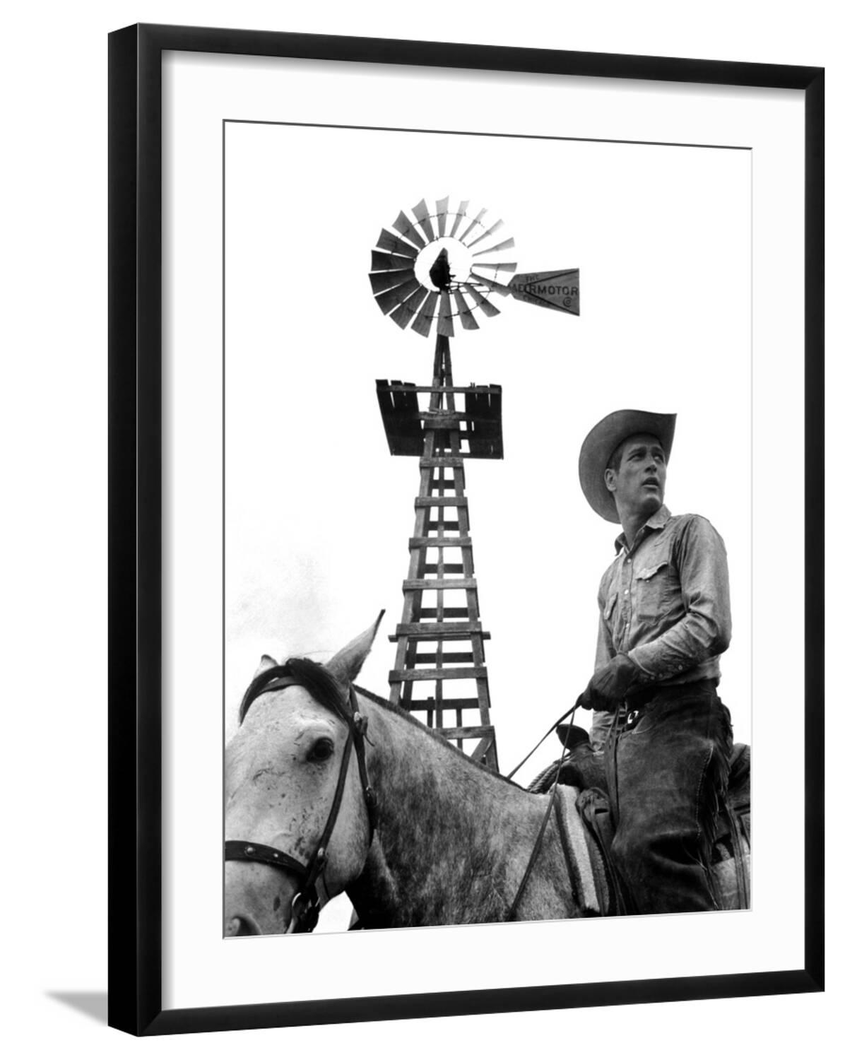 Art.com HUD, 1963 directed by MARTIN RITT Paul Newman (b/w photo) Photo ...