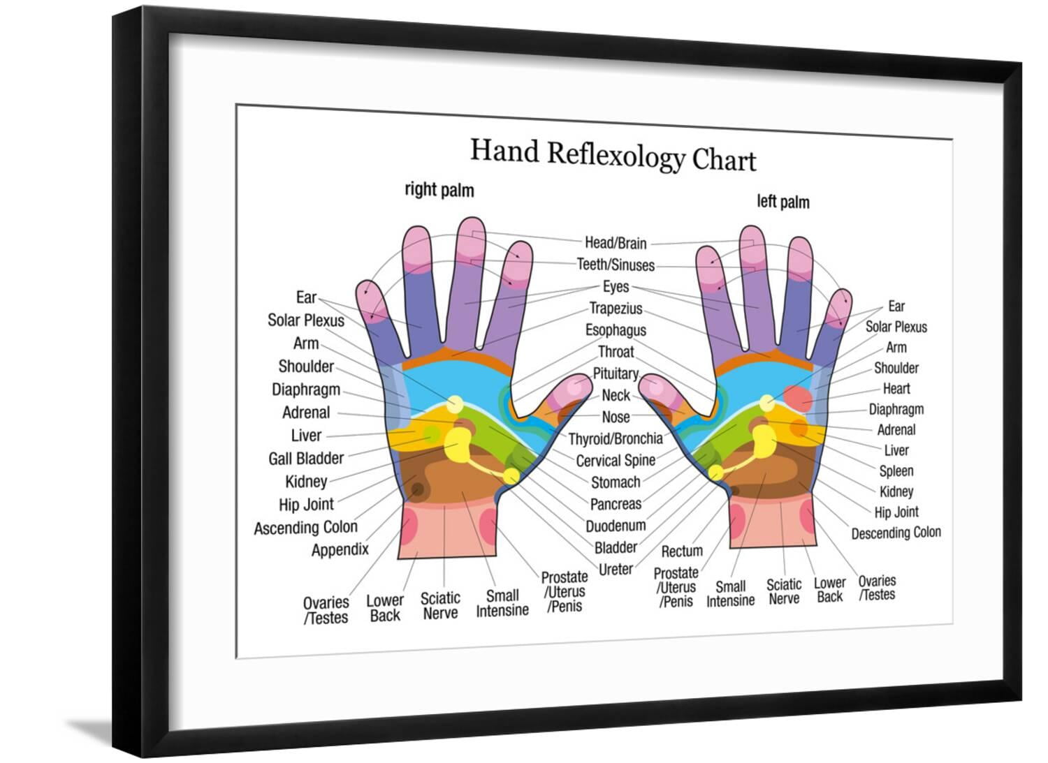 Art.com Hand Reflexology Chart Description Art Print by Peter Hermes ...