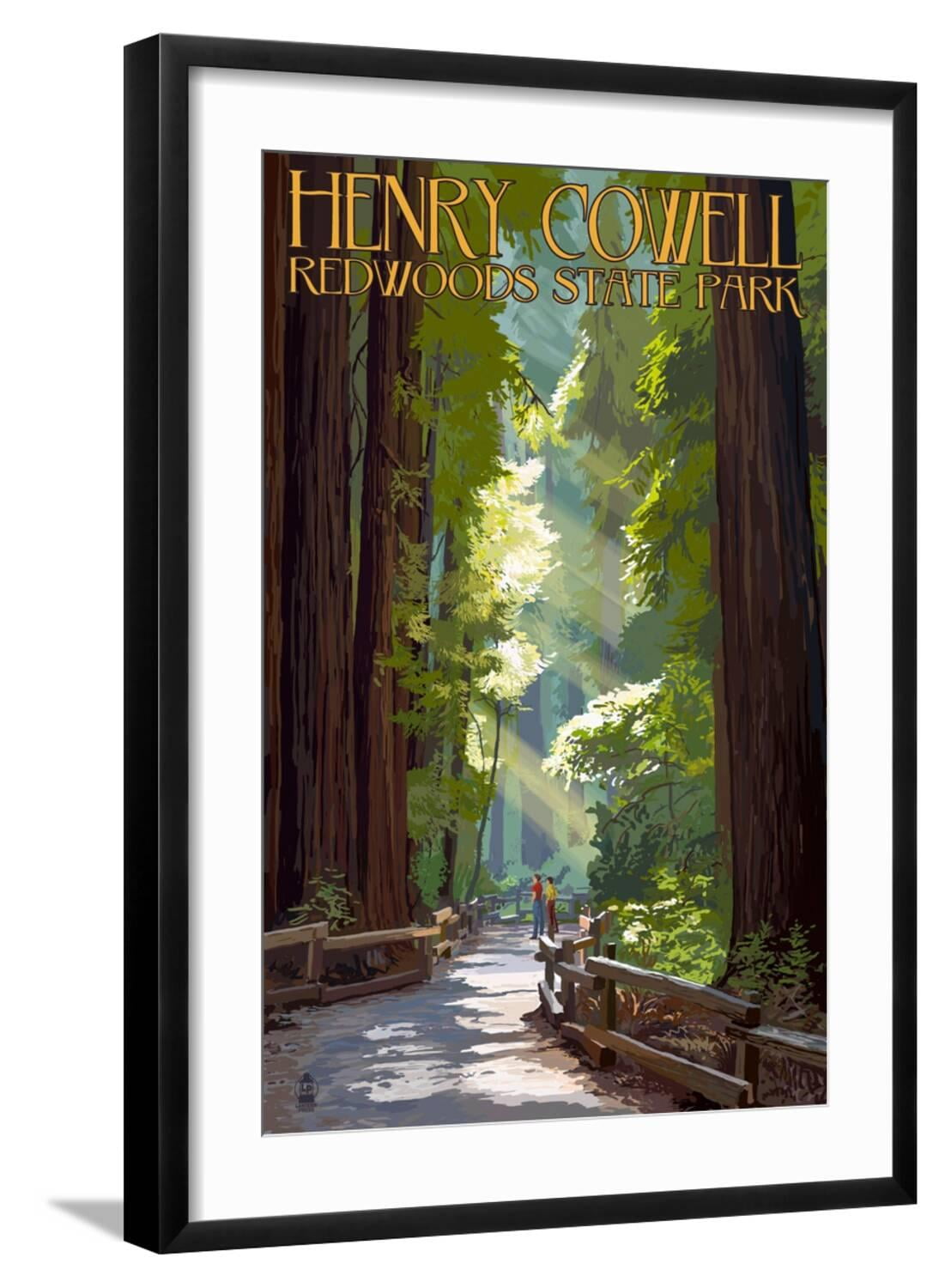 Art.com Henry Cowell Redwoods State Park - Pathway in Trees Art Print ...