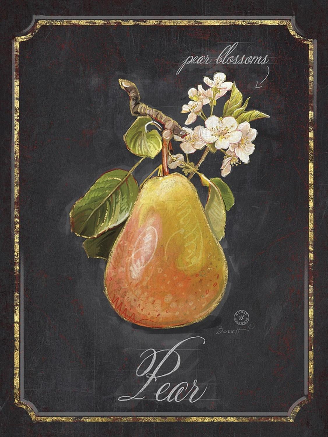 Art.com Heritage Pear Art Print by Chad Barrett, 24" x 32" - Walmart.com