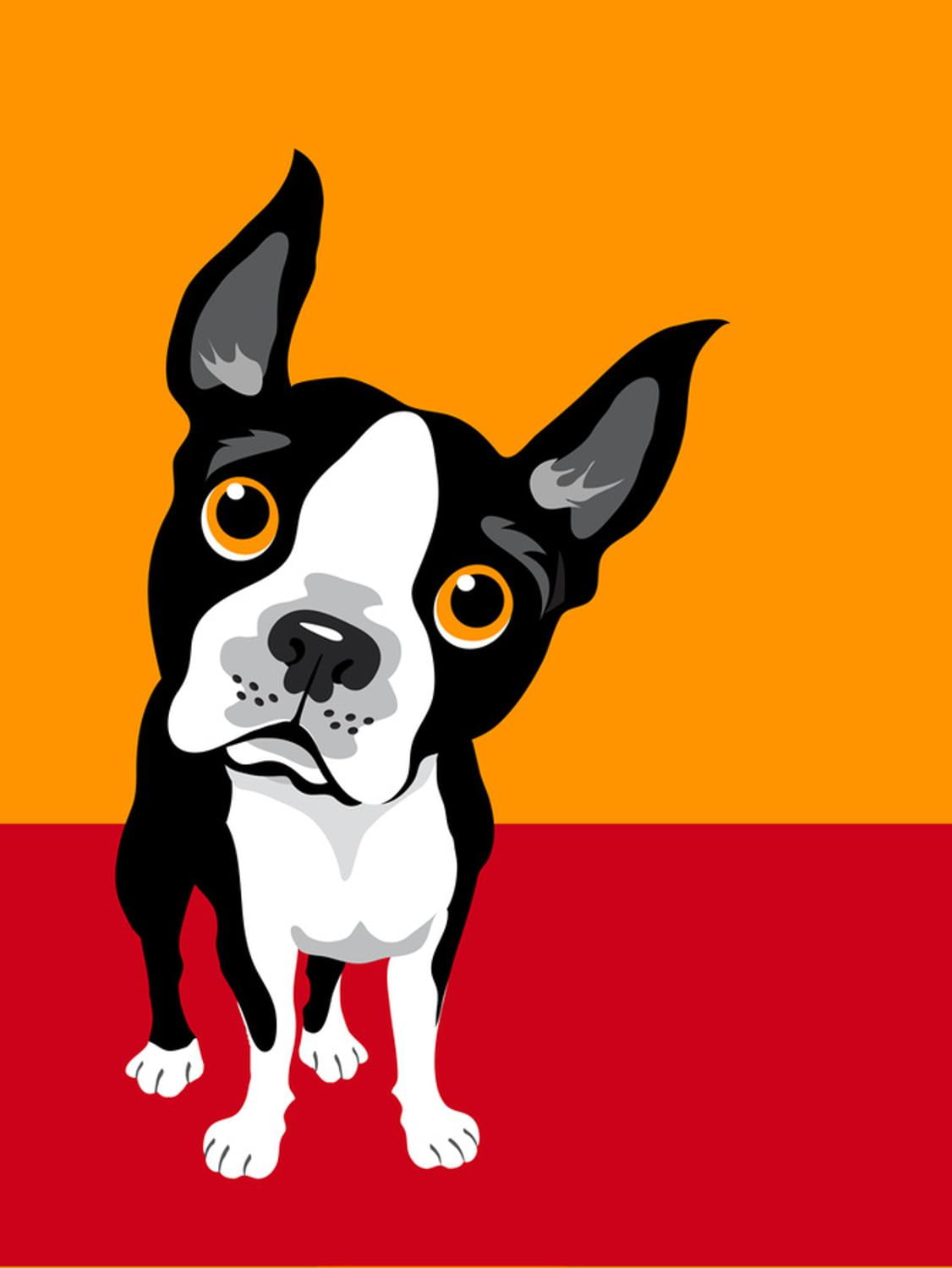 Art.com Illustration of a Boston Terrier Dog Art Print by TeddyandMia ...