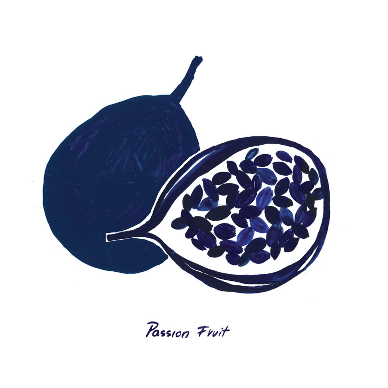 Art.com Indigo Passion Fruit Art Print by Aimee Wilson, 24" x 24 ...