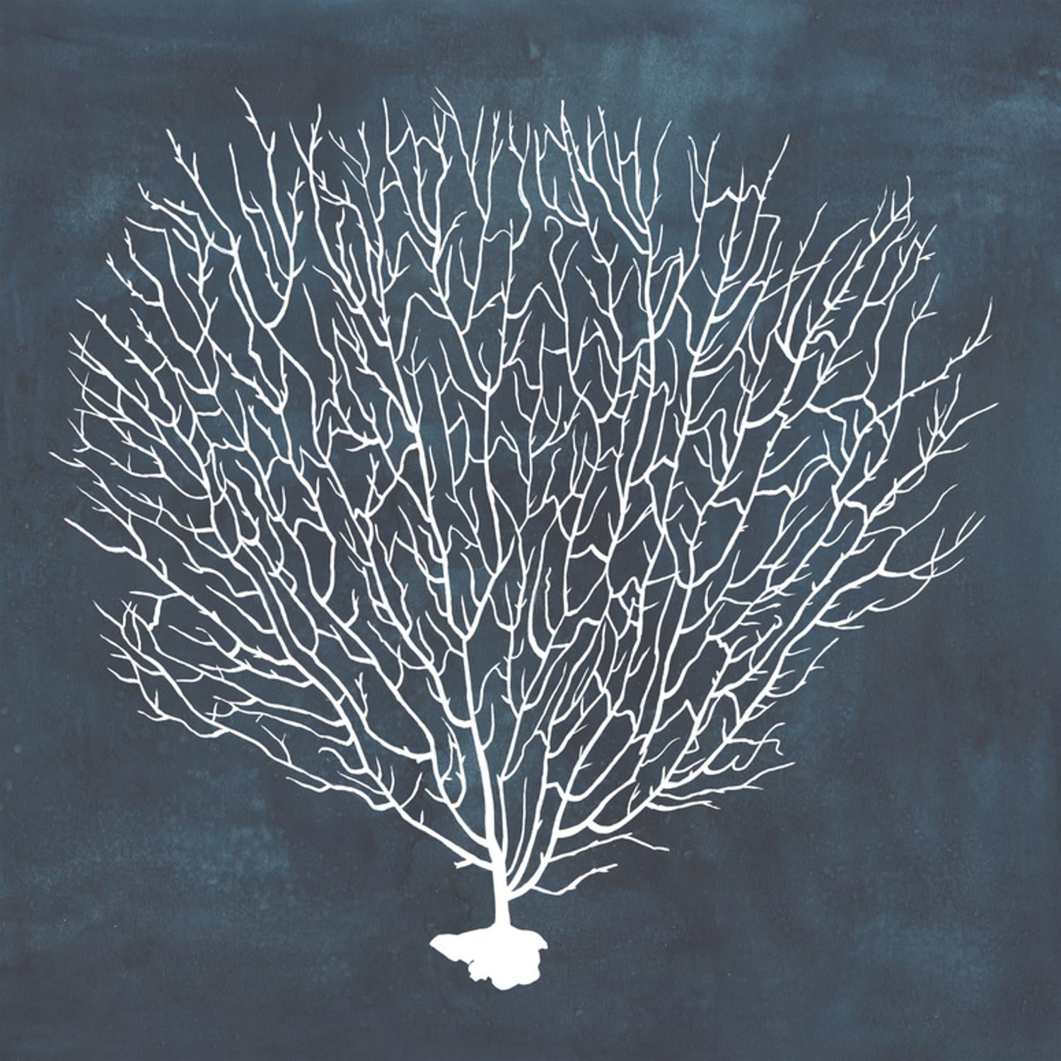Art.com Inverse Sea Fan IV Art Print by Grace Popp, 30" x 30" - Walmart.com