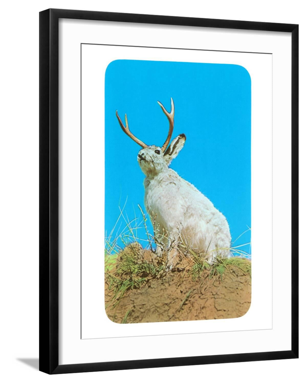 Art.com Jackalope, Horned Rabbit Art Print, Black Frame Wall Art, 23" x ...