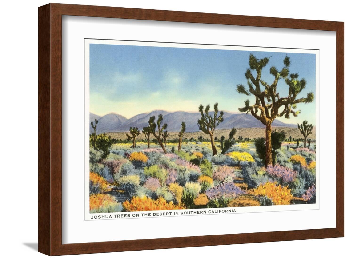 Art.com Joshua Trees in Desert, California Art Print, Brown Frame Wall ...