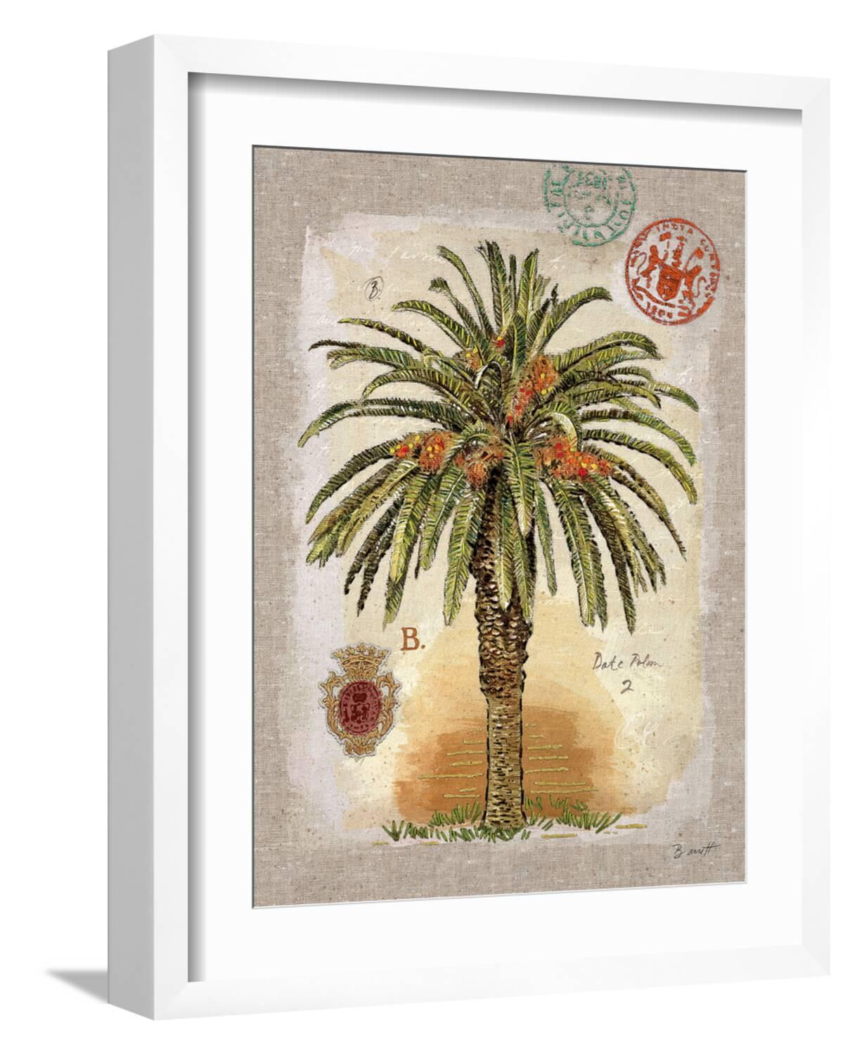 Art.com Linen Date Palm Tree Art Print by Chad Barrett, White Frame Wall Art, 17" x 21 ...