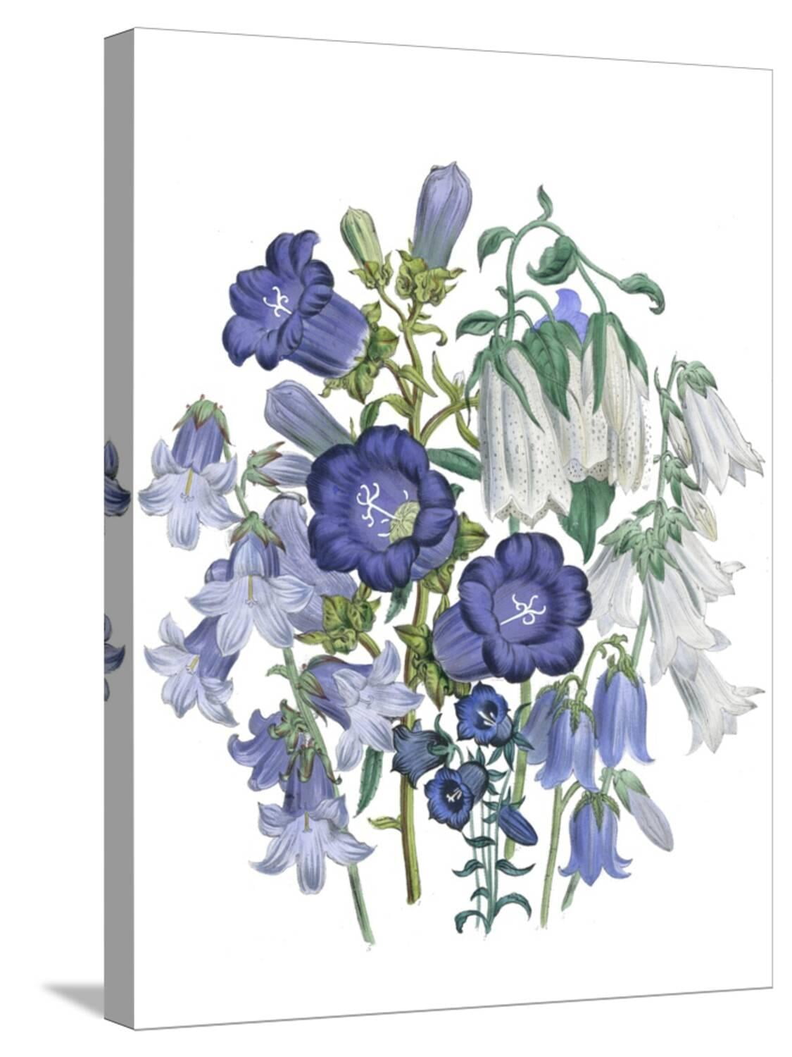 Art.com Loudon Florals I Stretched Canvas Print Wall Art by Jane W ...