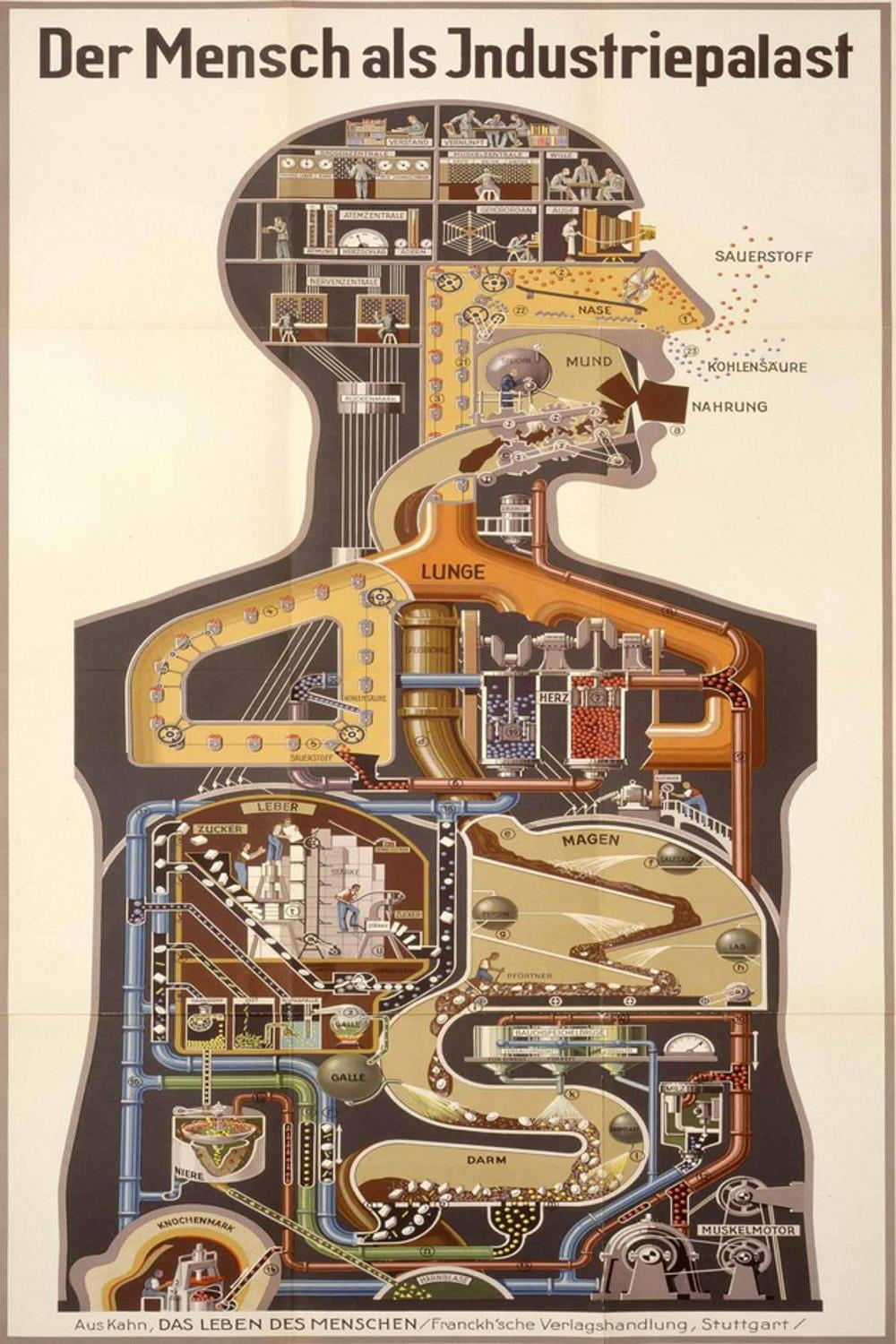 Art.com Man As An Industrial Palace Art Print by Fritz Kahn, 16" x 24 ...