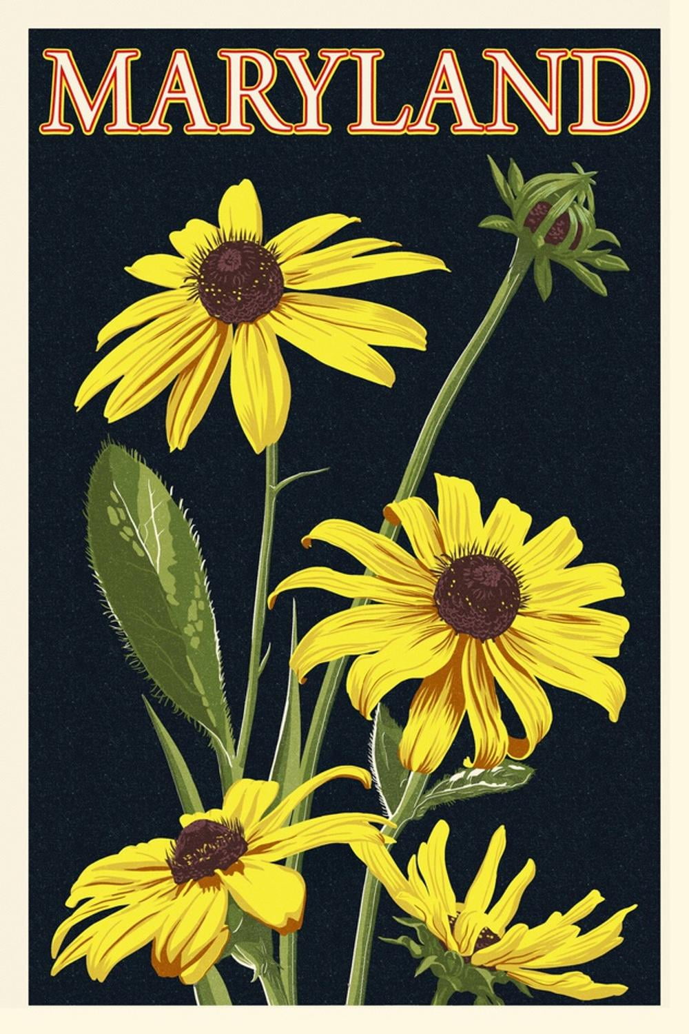 Art.com Maryland - Black Eyed Susan - Letterpress Art Print by Lantern ...