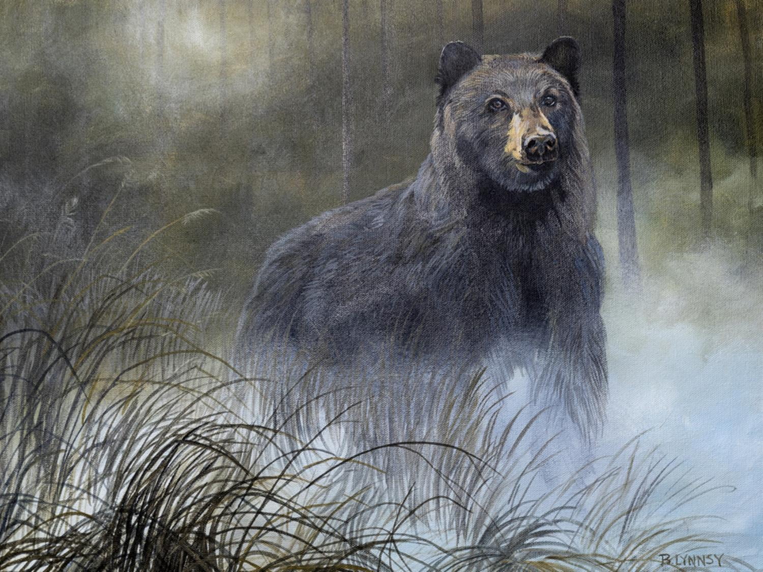 Art.com Misty Wild III Art Print by B. Lynnsy, 32" x 24" - Walmart.com