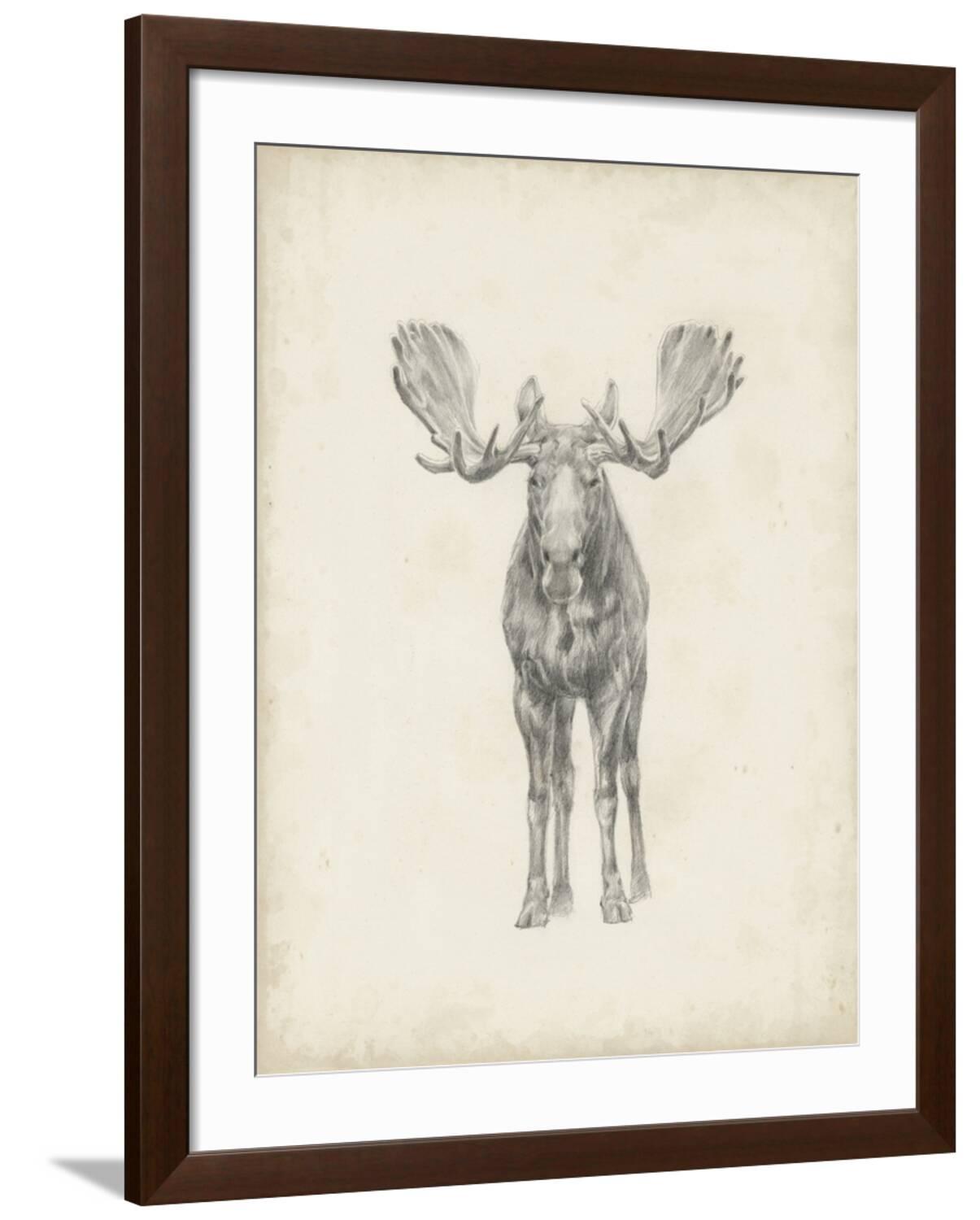 Art.com Moose Study Art Print by Ethan Harper, Brown Frame Wall Art, 32 ...