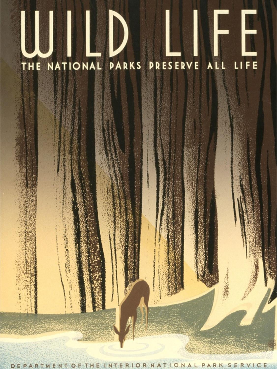Art.com National Parks Travel Poster, Wild Life Art Print, 12" x 16 ...