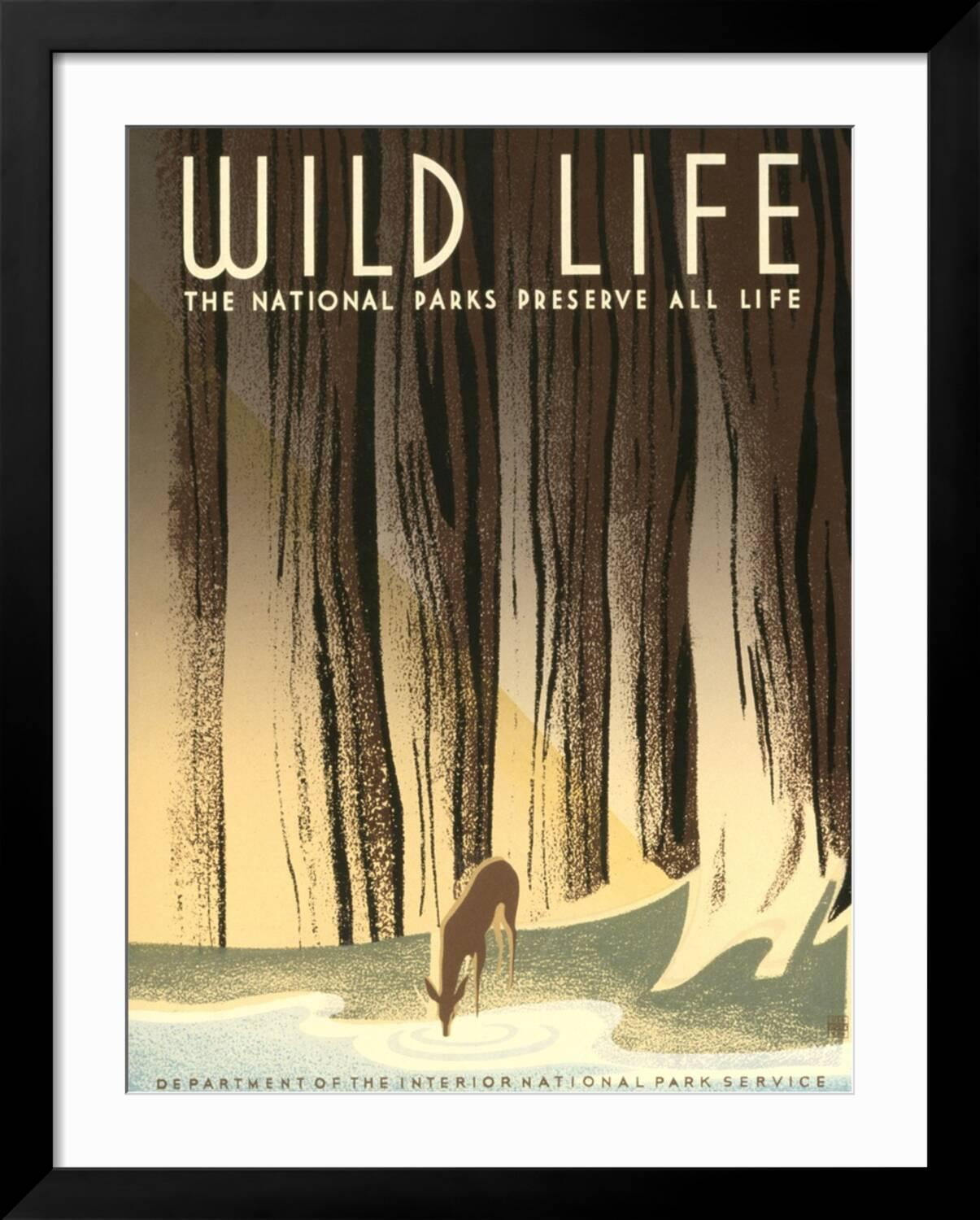Art.com National Parks Travel Poster, Wild Life Art Print, Black Frame ...