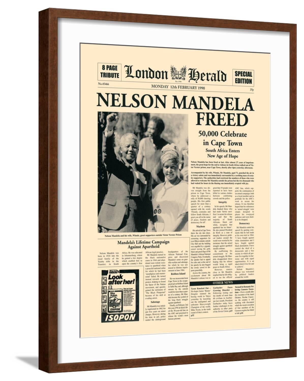 Art.com Nelson Mandela Freed Art Print by The Vintage Collection, Brown ...