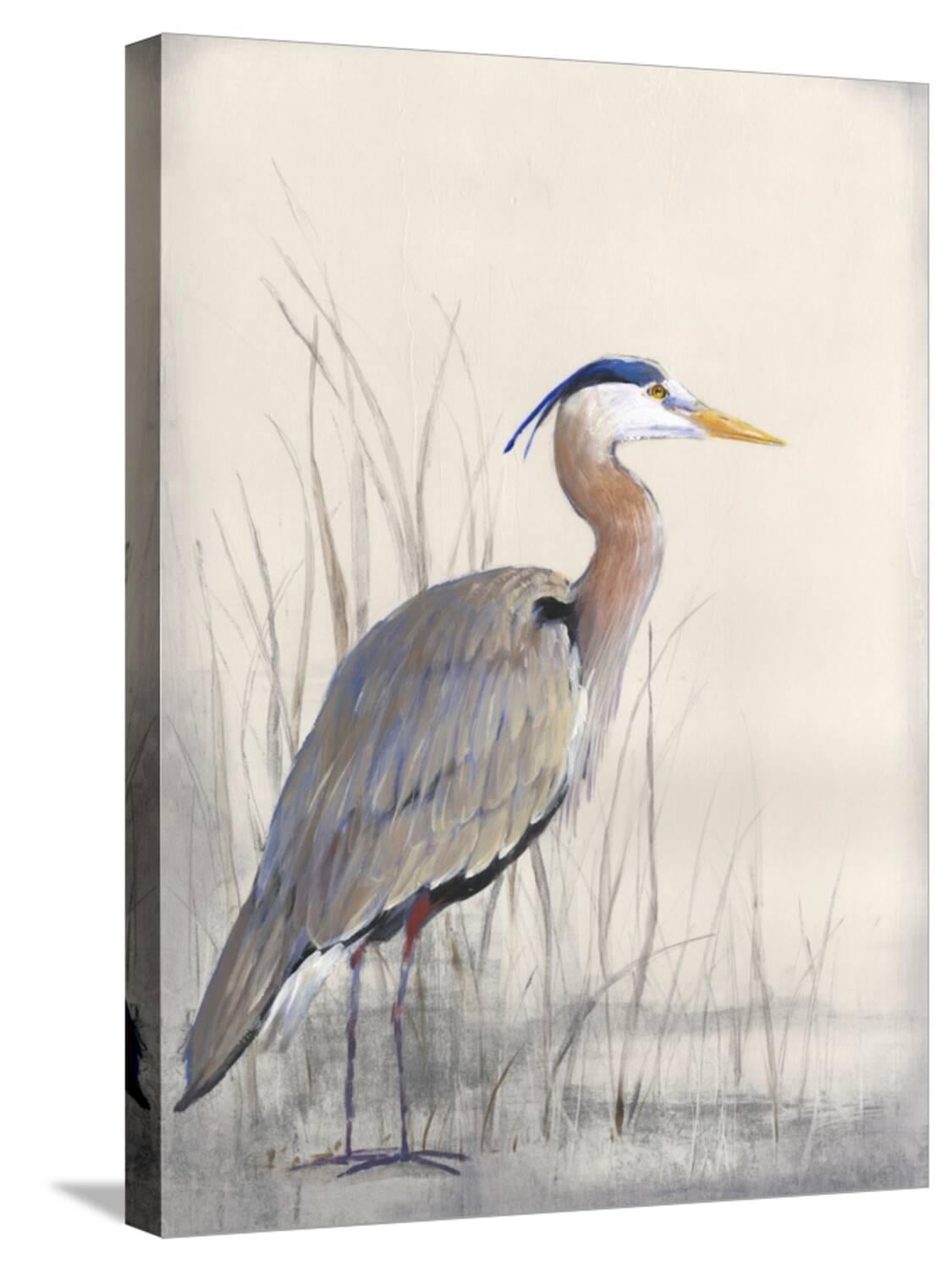 Art.com Non-Embellished Keeping Watch I Stretched Canvas Print Wall Art ...