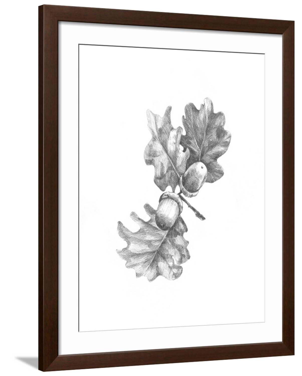 Art.com Oak Leaf Pencil Sketch II Art Print by Emma Caroline, Brown ...