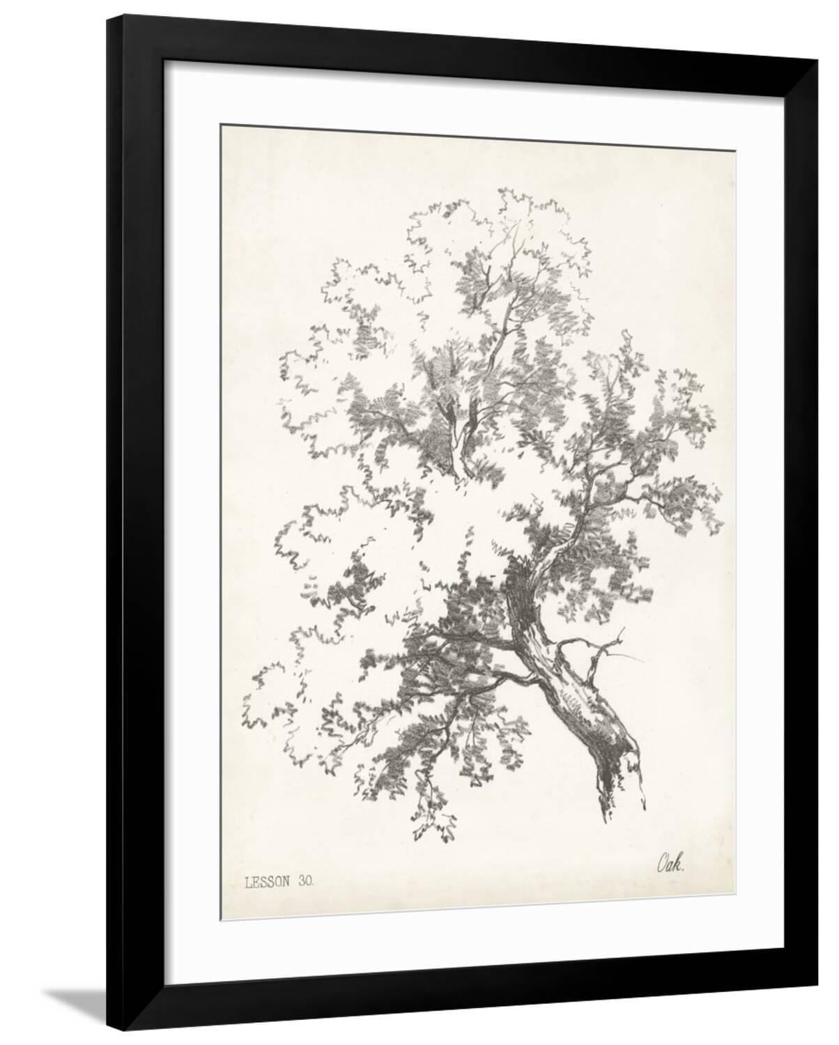 Art.com Oak Tree Study Art Print, Black Frame Wall Art, 32" x 40" - Walmart.com