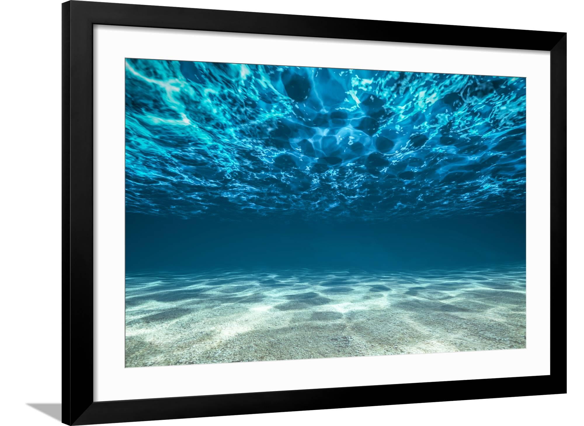 Art.com Ocean Bottom, View Beneath Surface Photographic Print by Cico ...