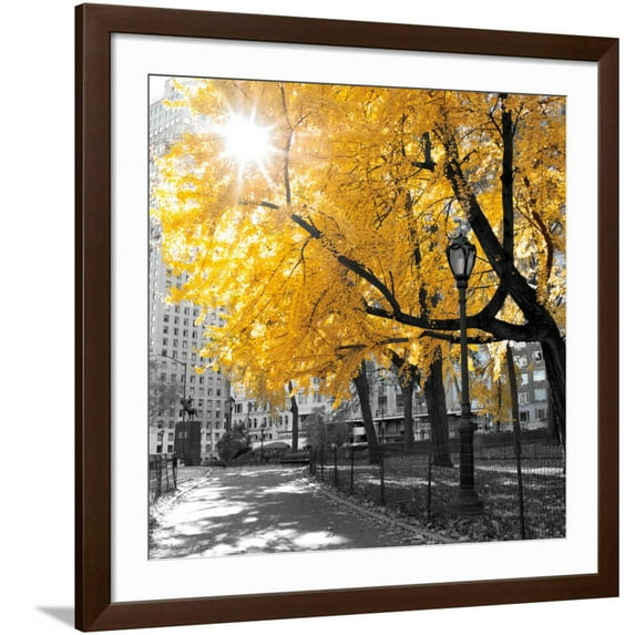 Art.com Park Pretty II Photographic Print by Assaf Frank, Brown Frame ...