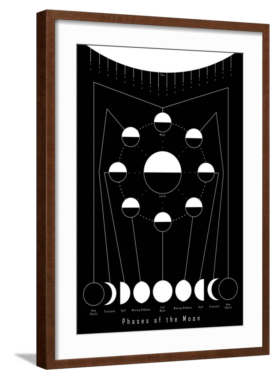 Art.com Phases of the Moon Art Print, Brown Frame Wall Art, 21" x 29 ...