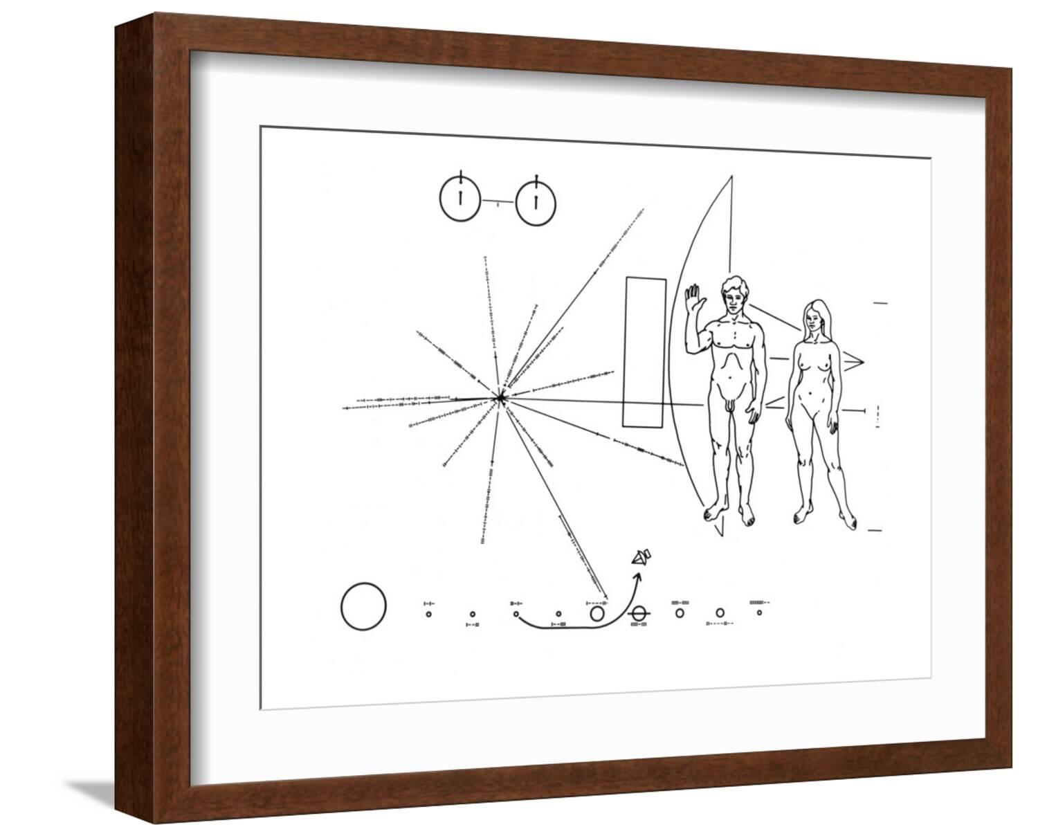 Art.com Pictorial Plaque of the Pioneer F Spacecraft Destined for ...