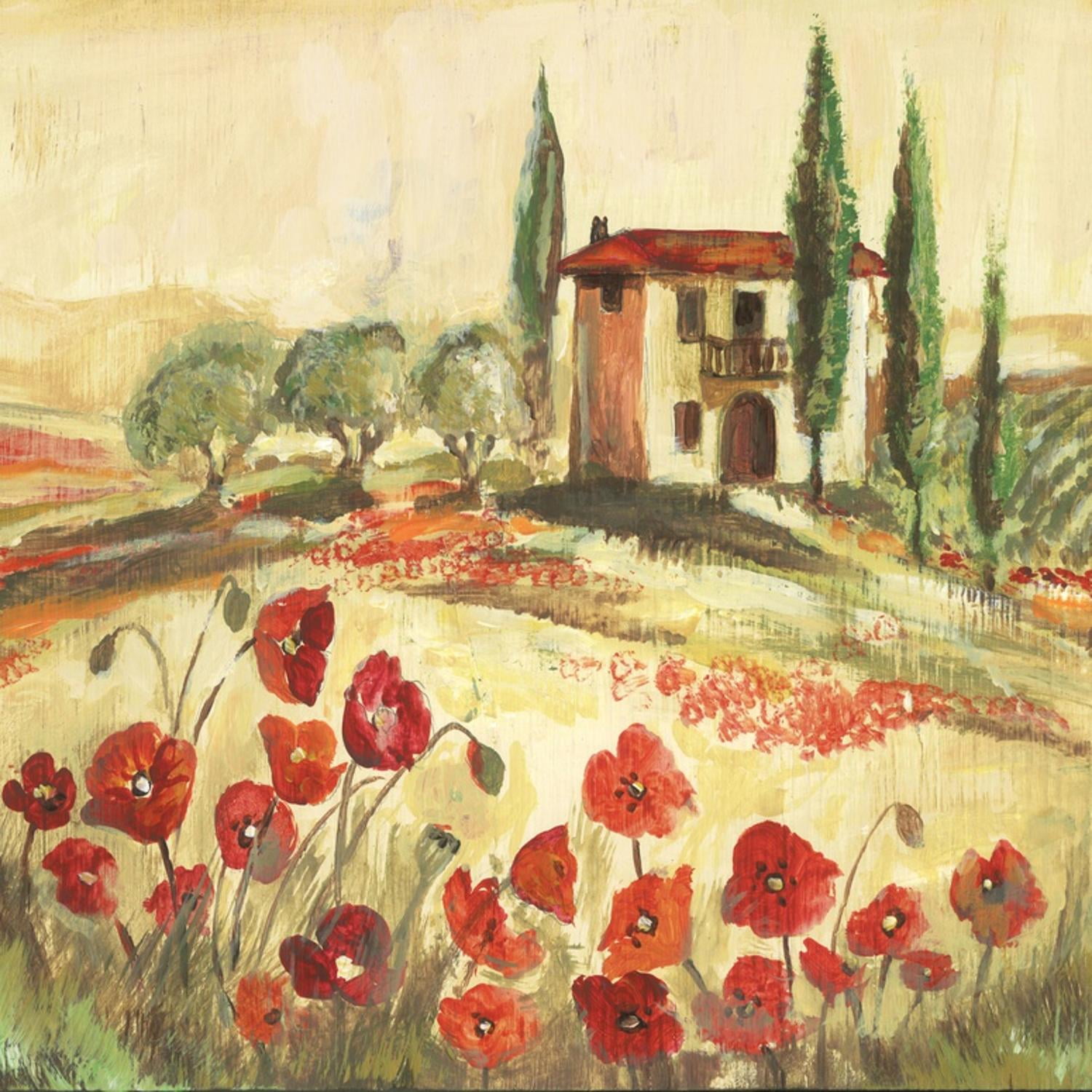 Art.com Poppy Field I Art Print by Gregory Gorham, 24" x 24" - Walmart.com