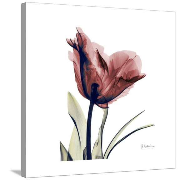 Art.com Indigo Luster Cyclamen Stretched Canvas Print Wall Art by ...
