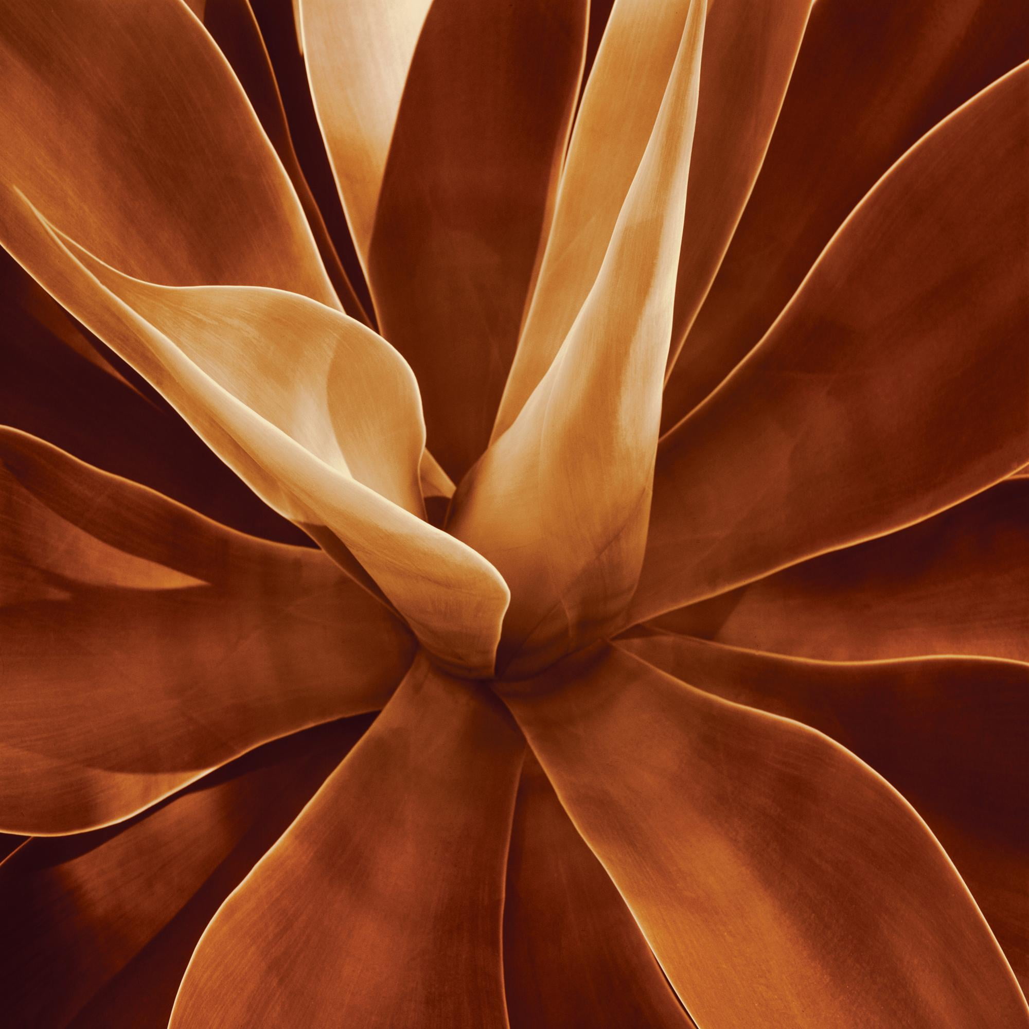 Art.com Santa Fe II Art Print by Caroline Kelly, 30" x 30" - Walmart.com