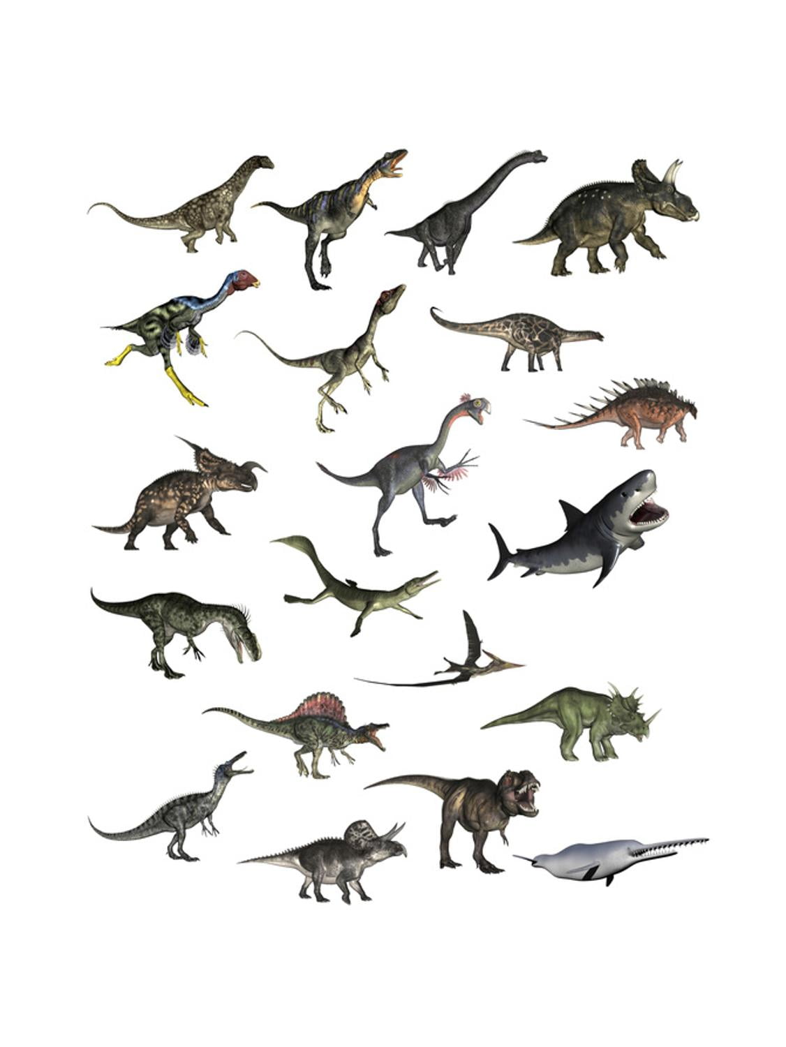 Art.com Set of Dinosaurs Art Print, 12" x 16" - Walmart.com