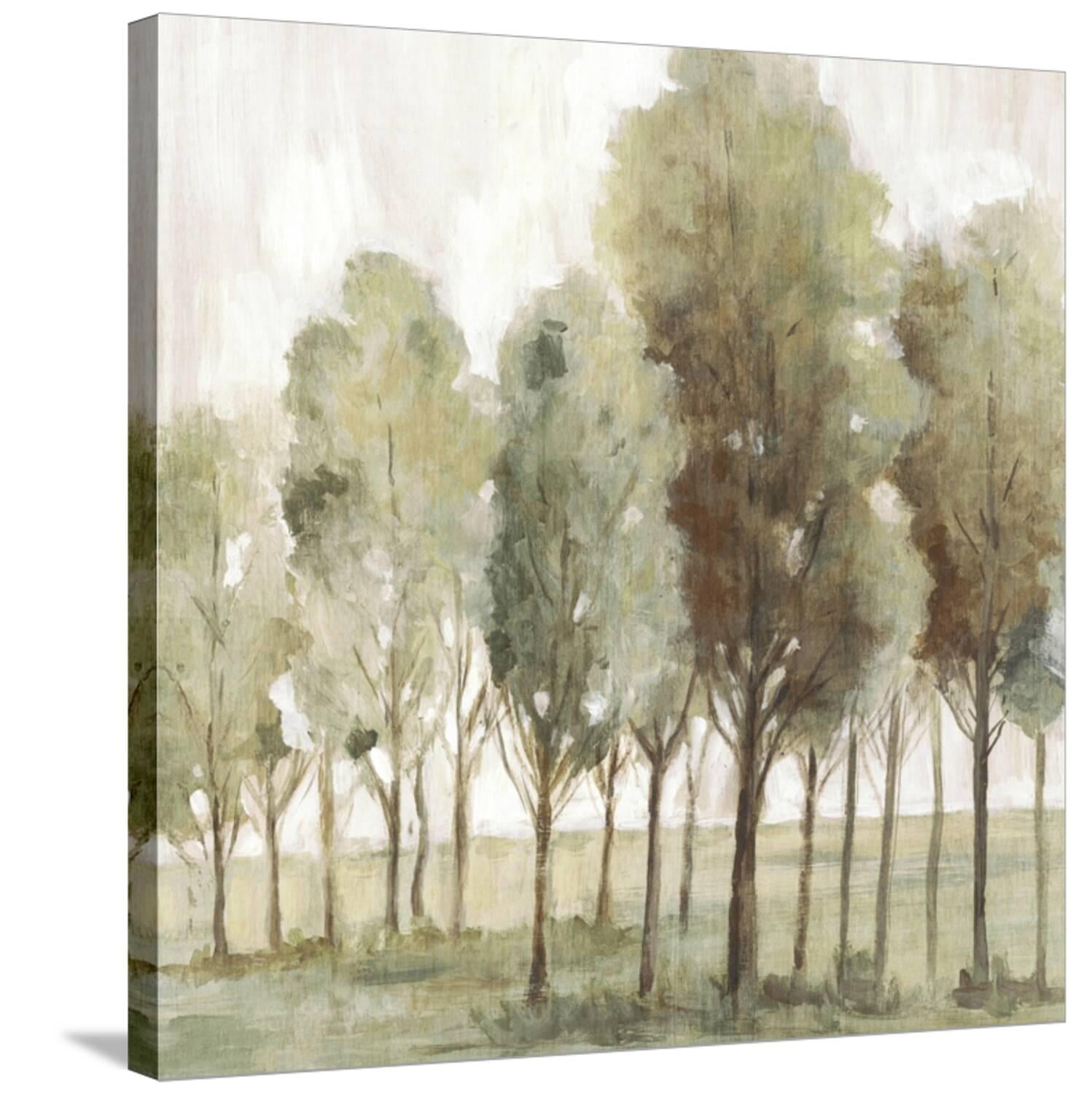 Art.com Silent Fall II Stretched Canvas Print Wall Art by Eva Watts, 30 ...