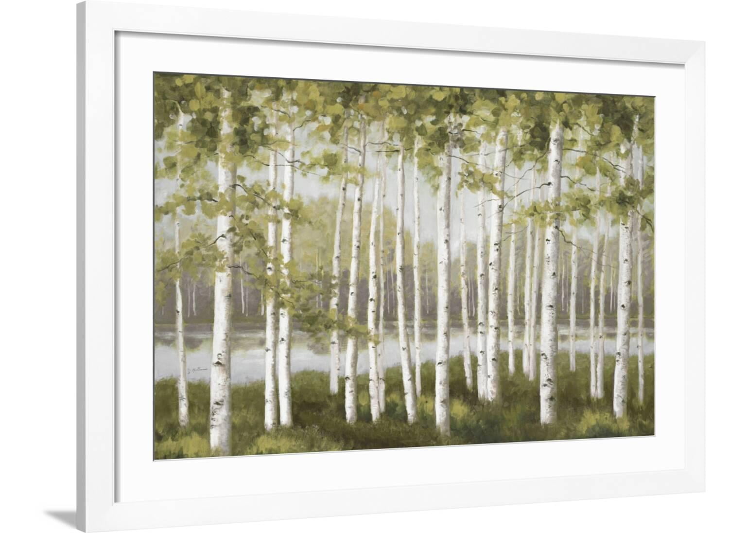 Art.com Spring Birch Tree Grove Art Print by Jill Schultz McGannon ...