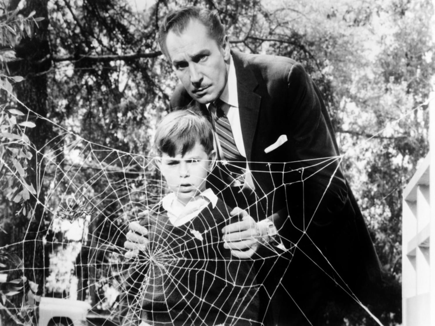 Art.com The Fly, Charles Herbert, Vincent Price, 1958, Spider Web Photo ...